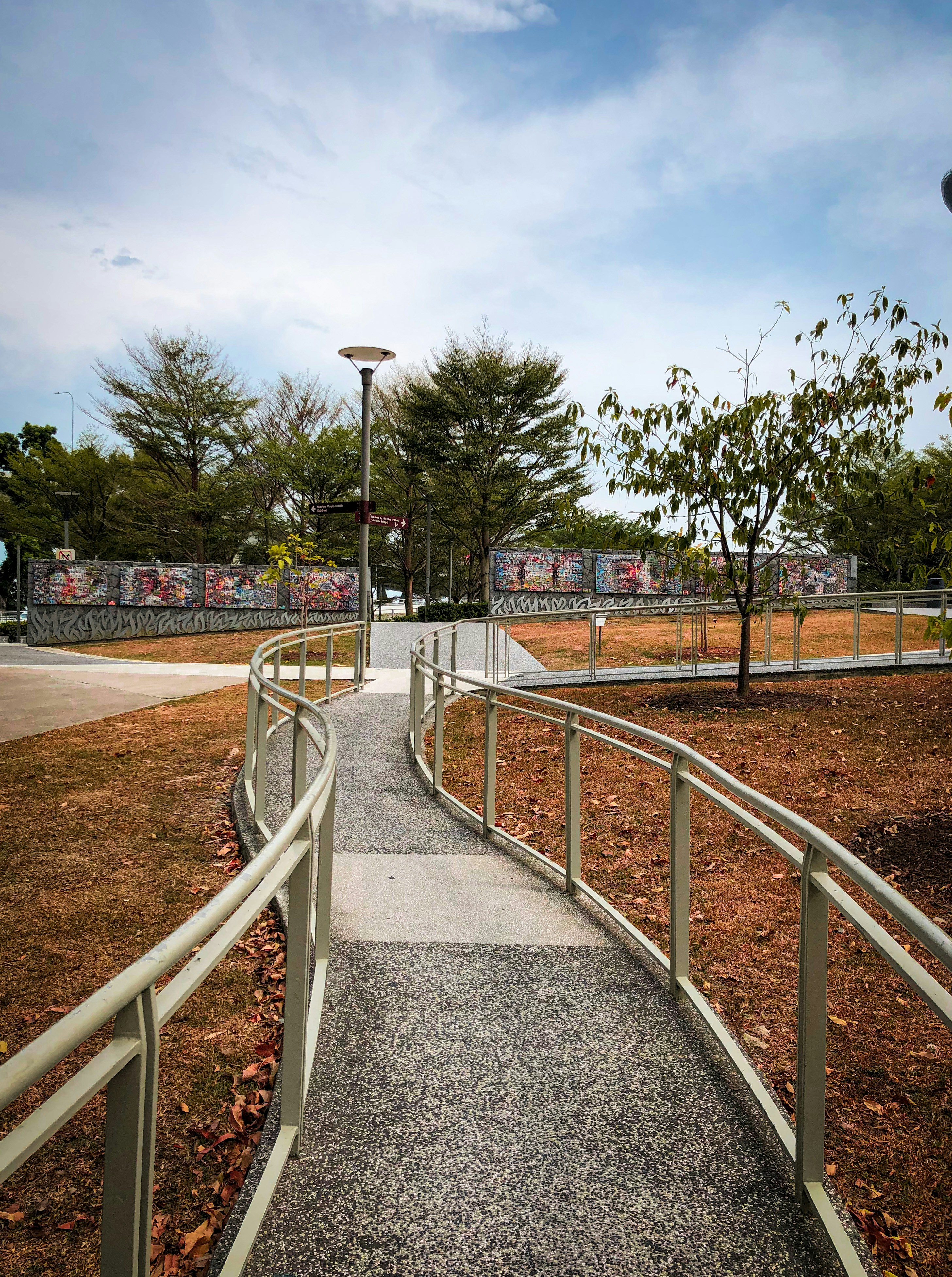 Curved Pathway Through a Park: A Quiet Corridor to the Open Sky