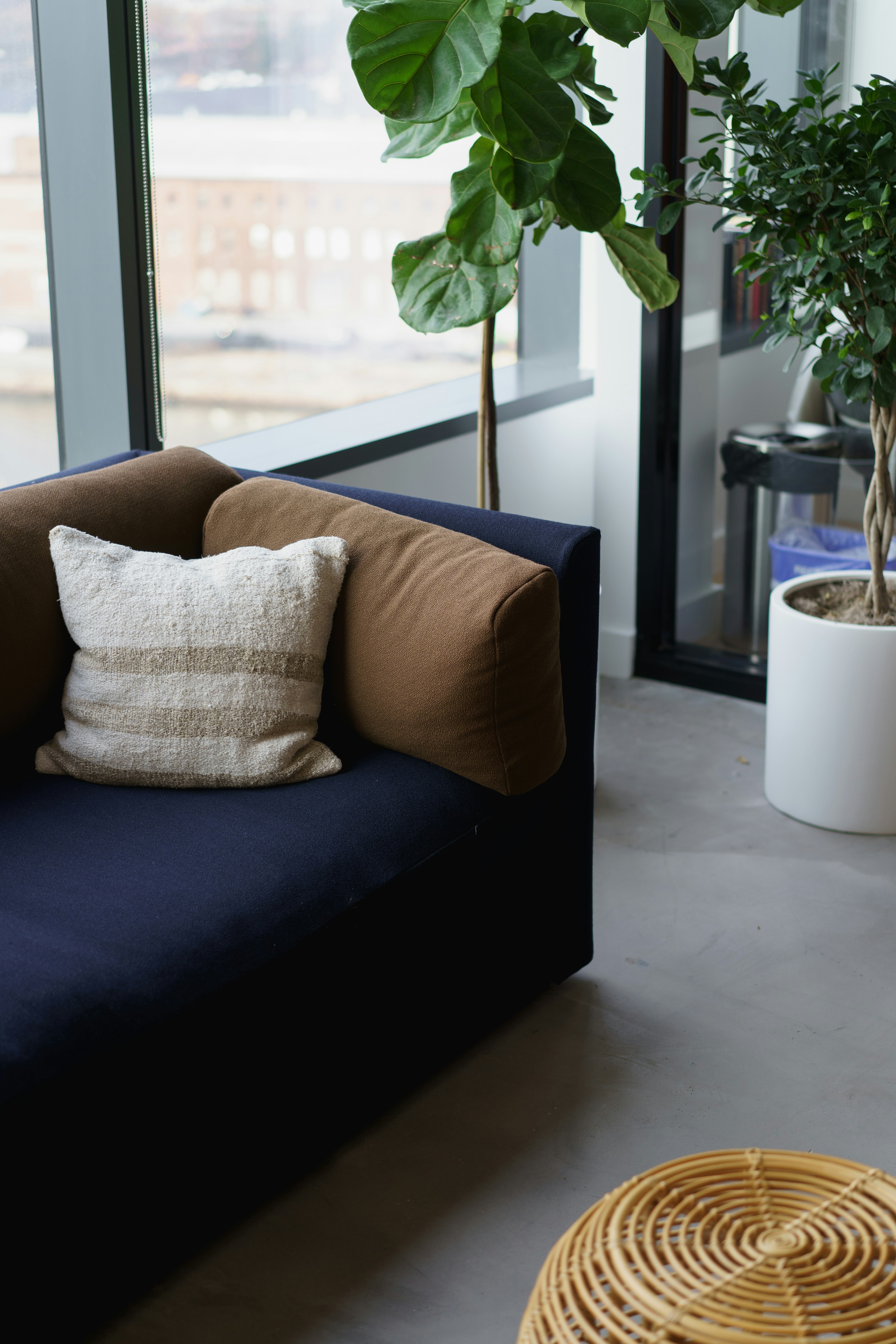 Modern living room with a navy sofa, brown and white pillows, and lush green plants near large windows.