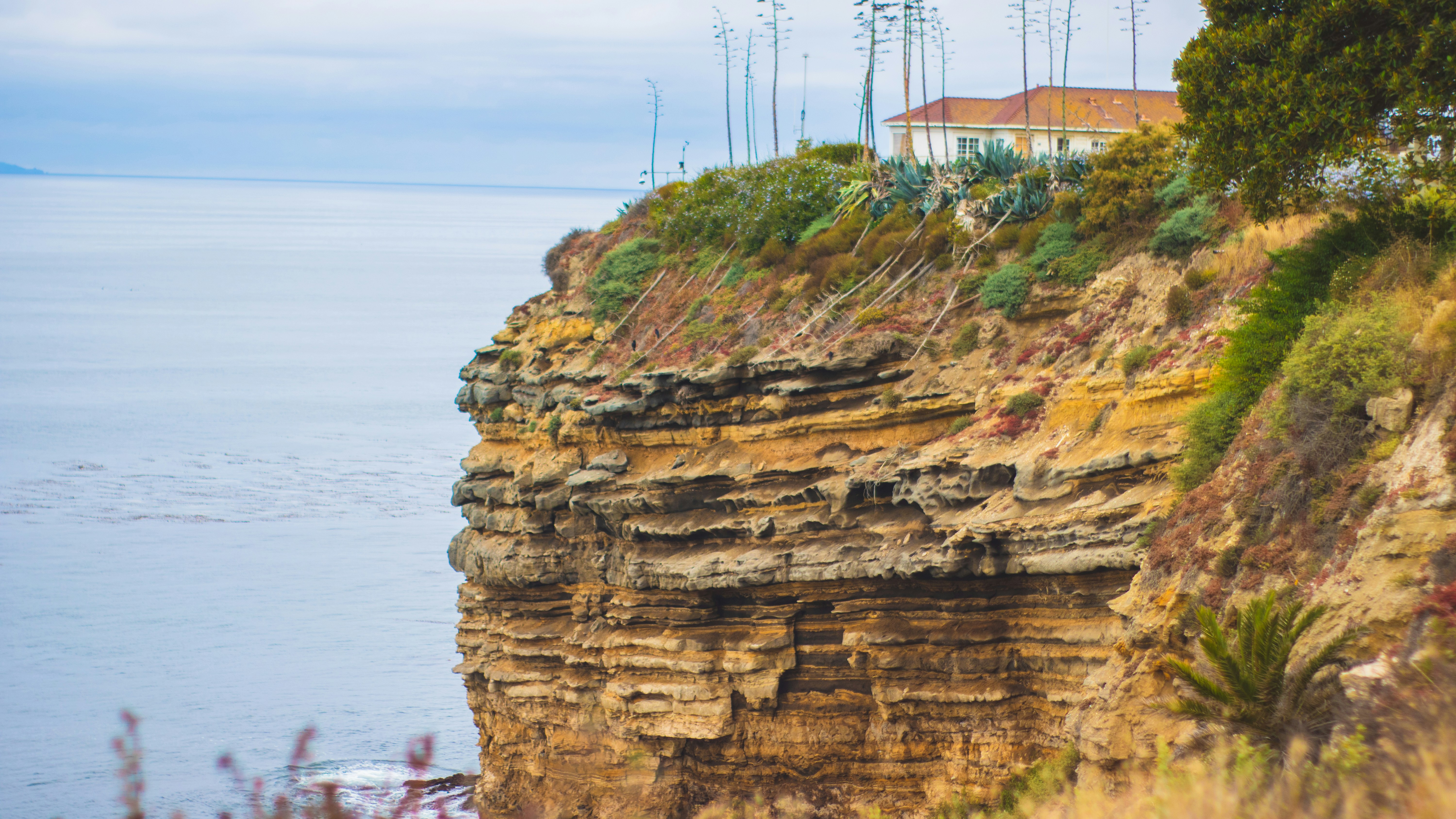 Ryan Anderson (@rnacinema) | Unsplash 사진 커뮤니티