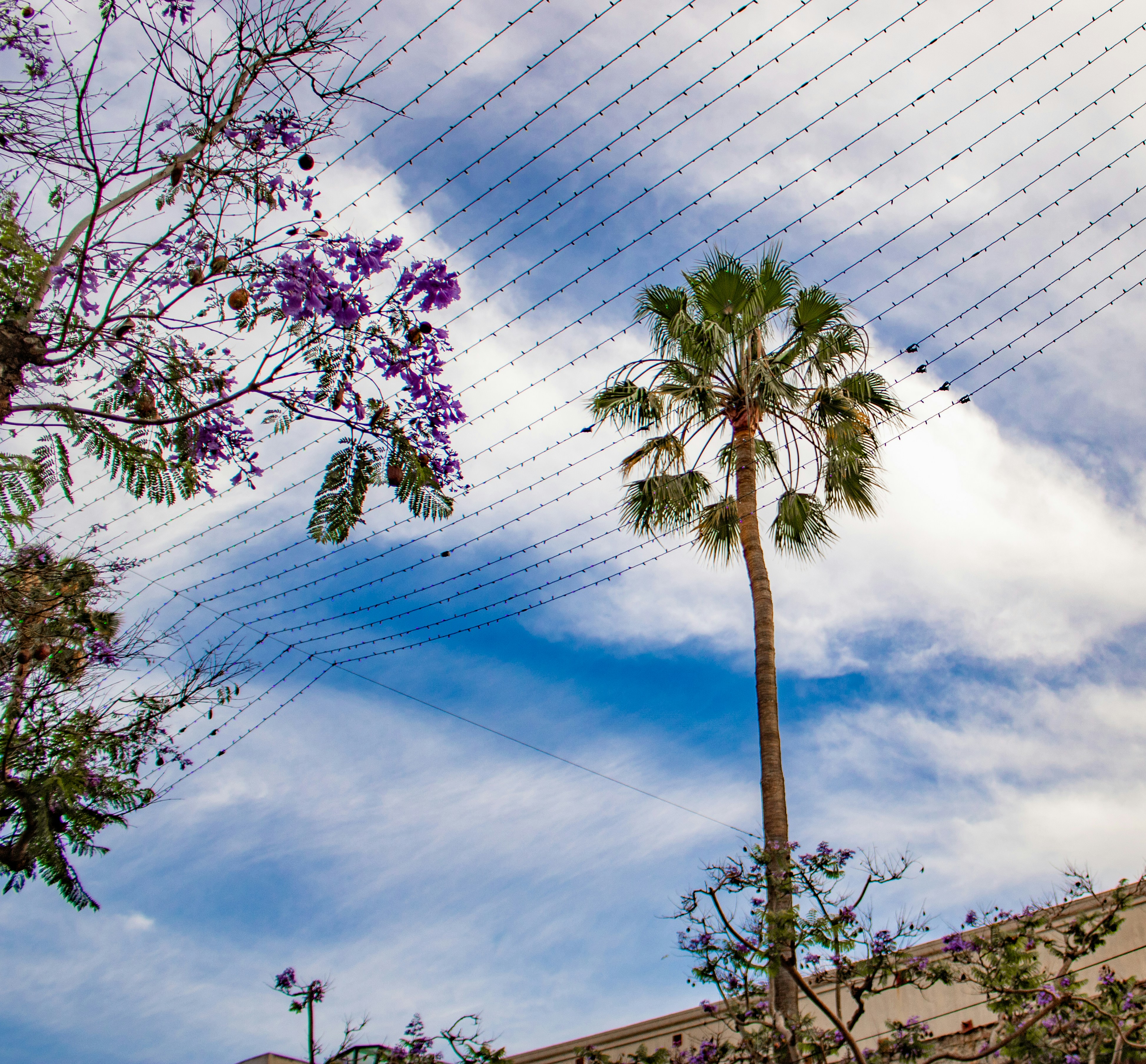 Ryan Anderson (@rnacinema) | Komunitas Foto Unsplash