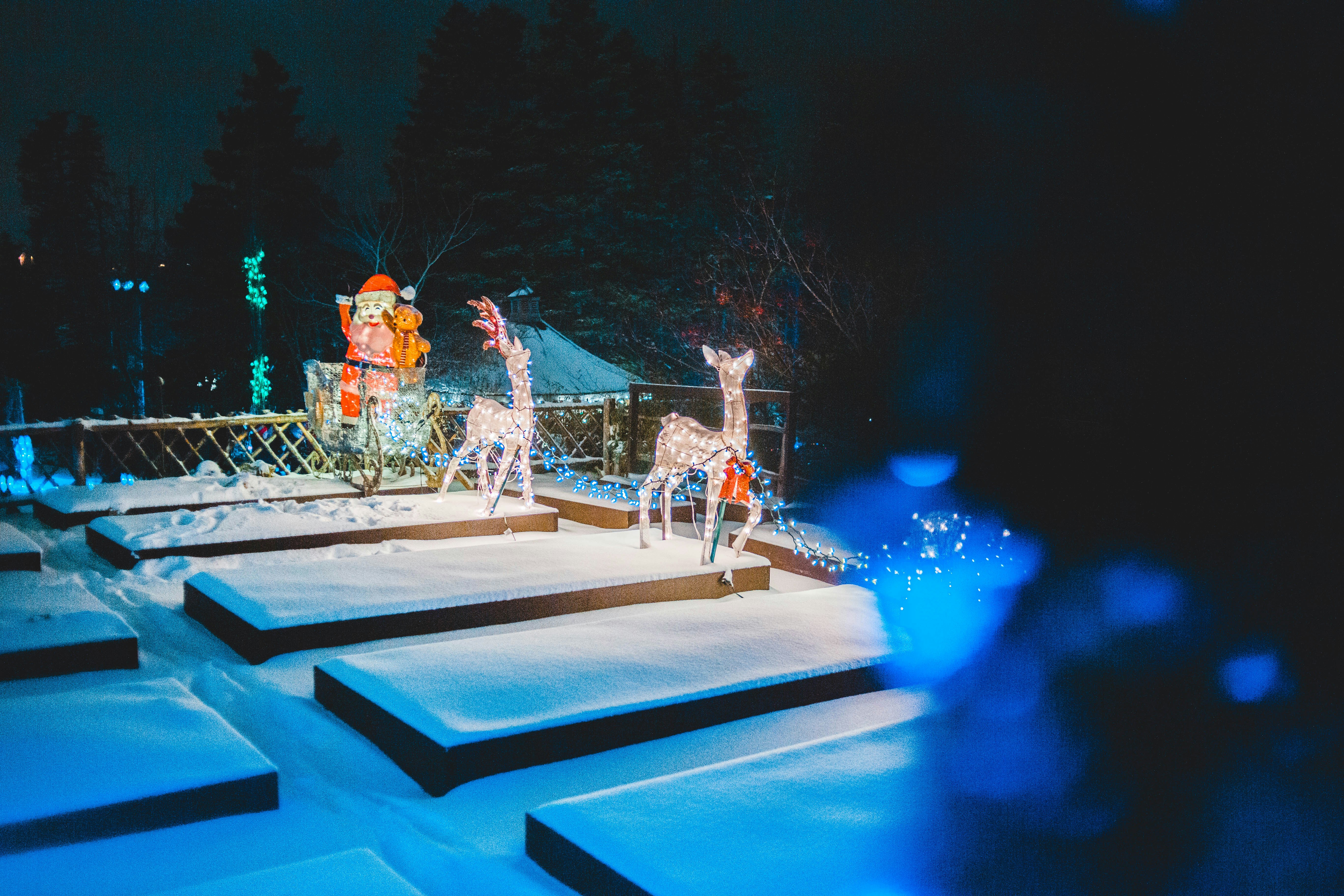 Neon Reindeer on Snowy Steps under Midnight Blue Glow