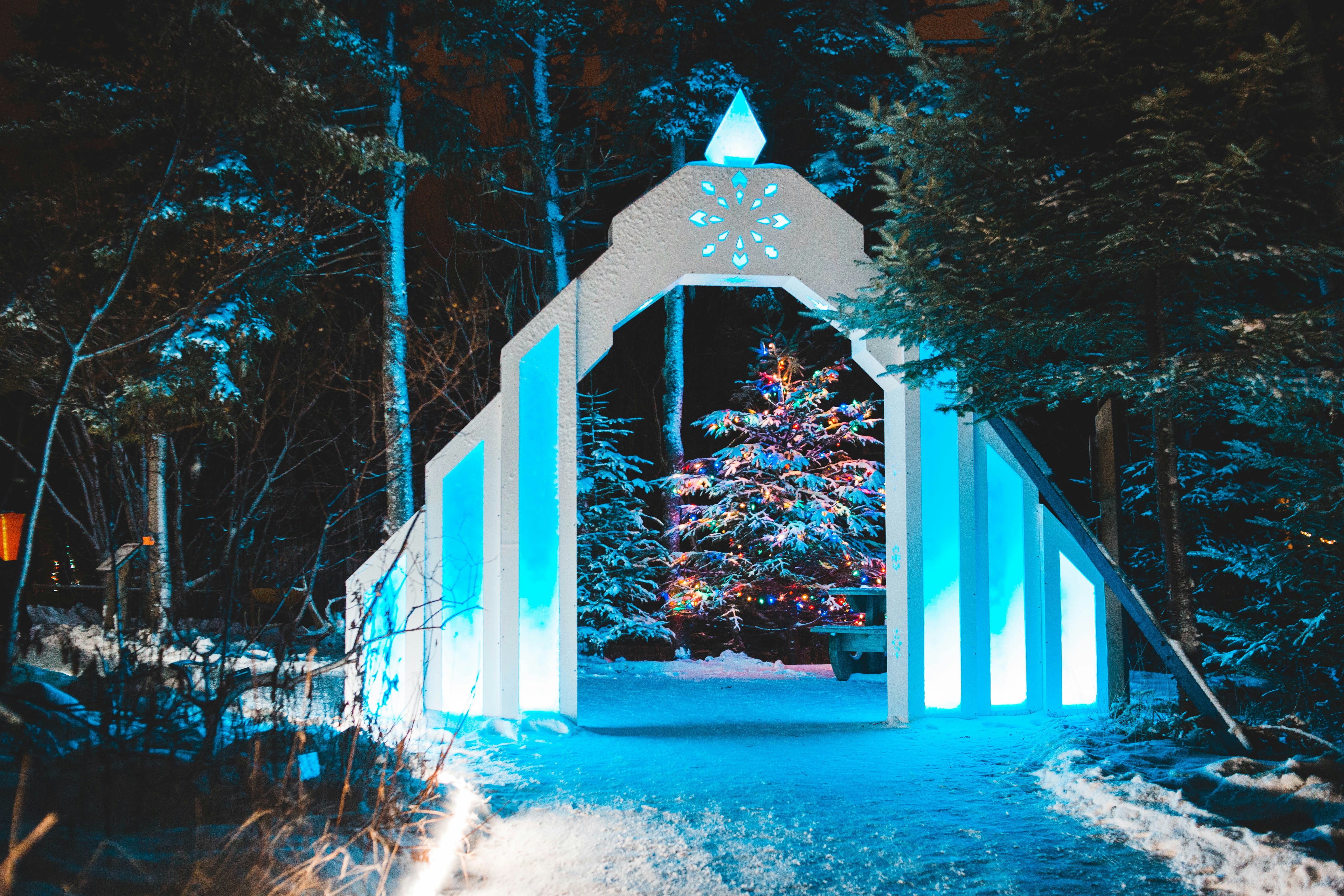 Blue Archway Illuminates a Snow-Dusted Clearing Toward a Festive Tree