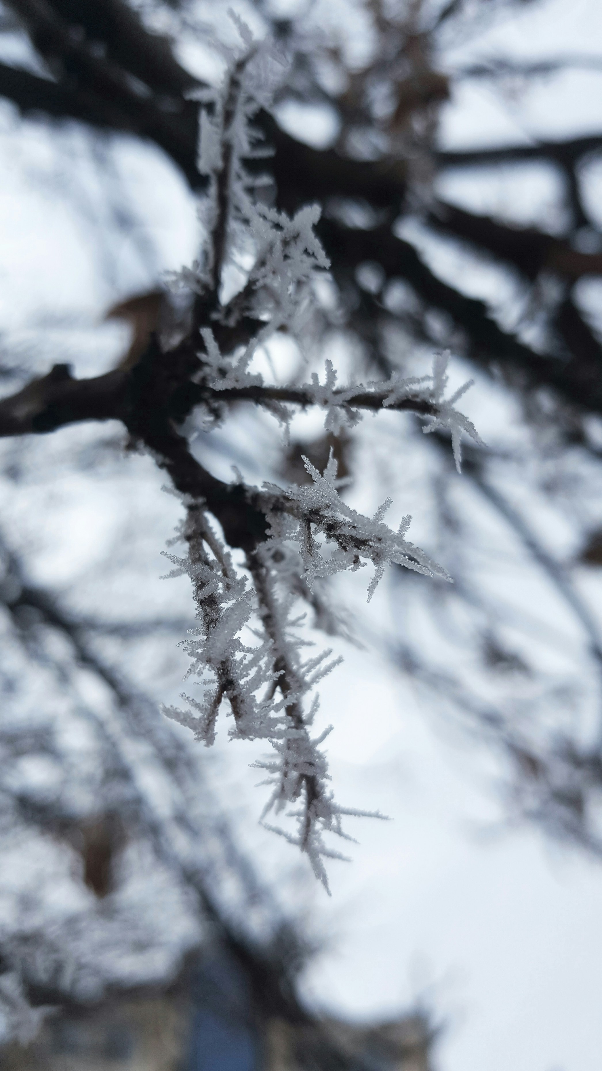 Amir Mahmoodi (@pixelo) | Komunitas Foto Unsplash