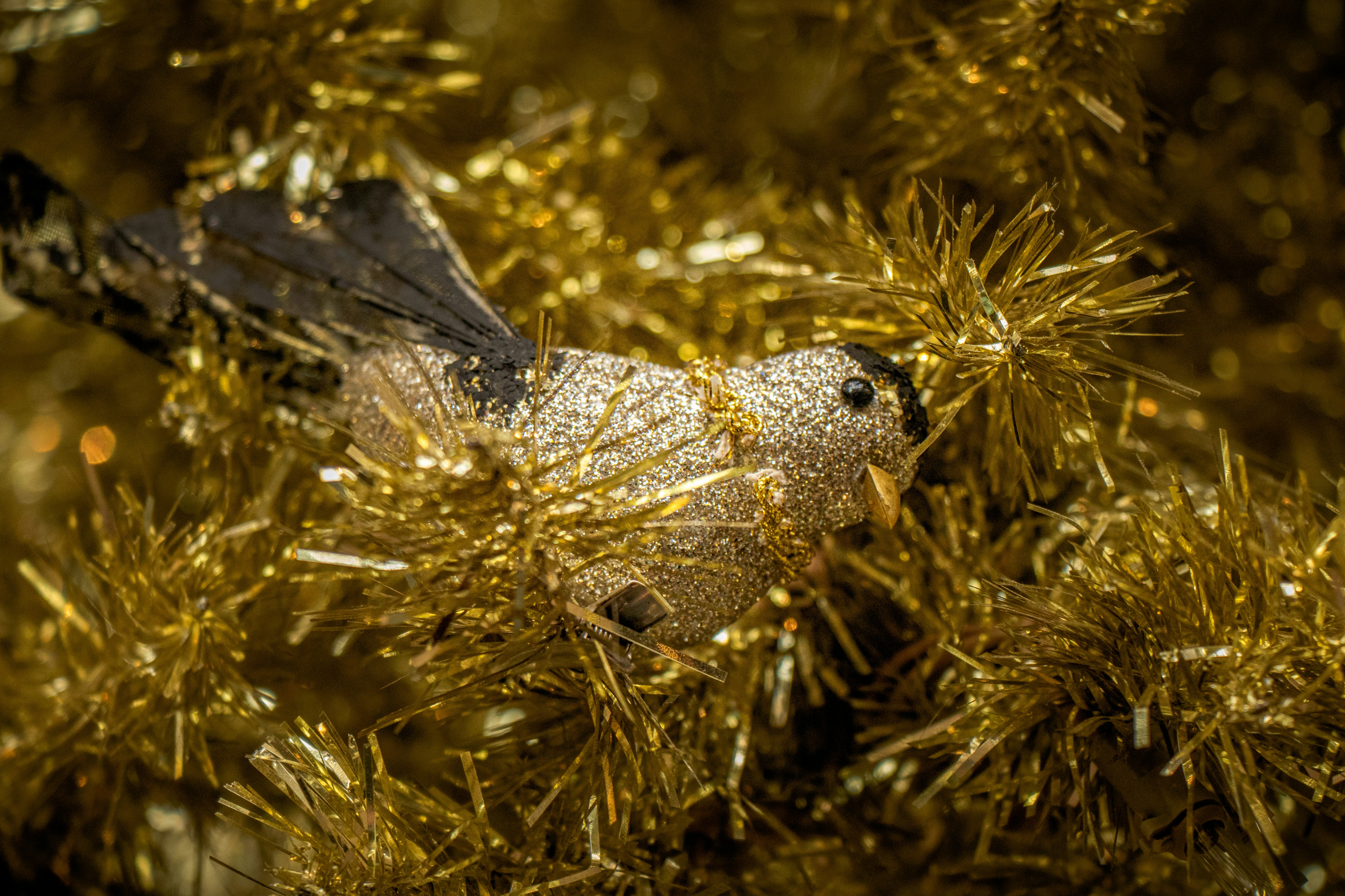 Gilded Warbler Among Glittering Tinsel