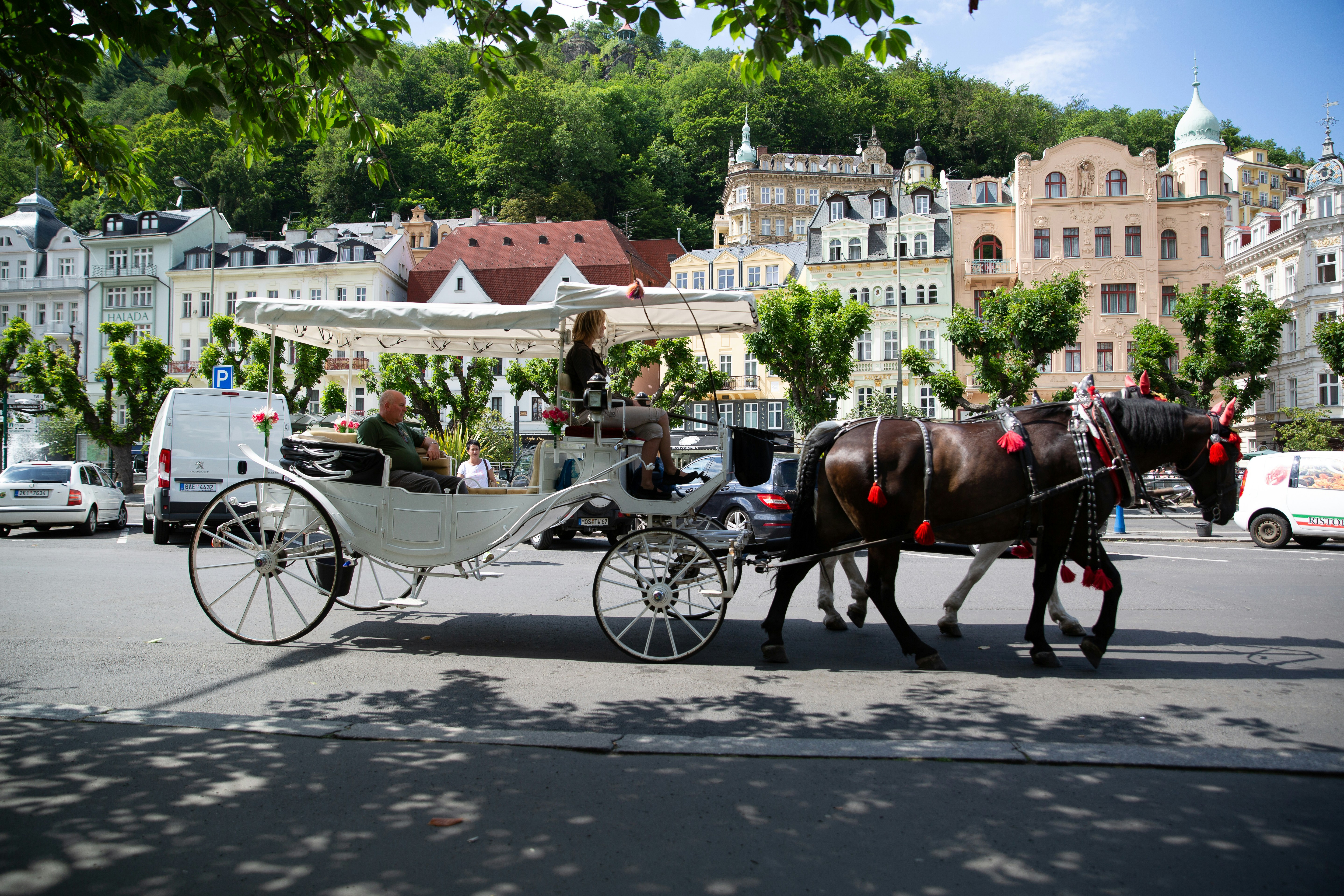 Horse-drawn carriage traversing a sunlit street lined with historic architecture and lush greenery.