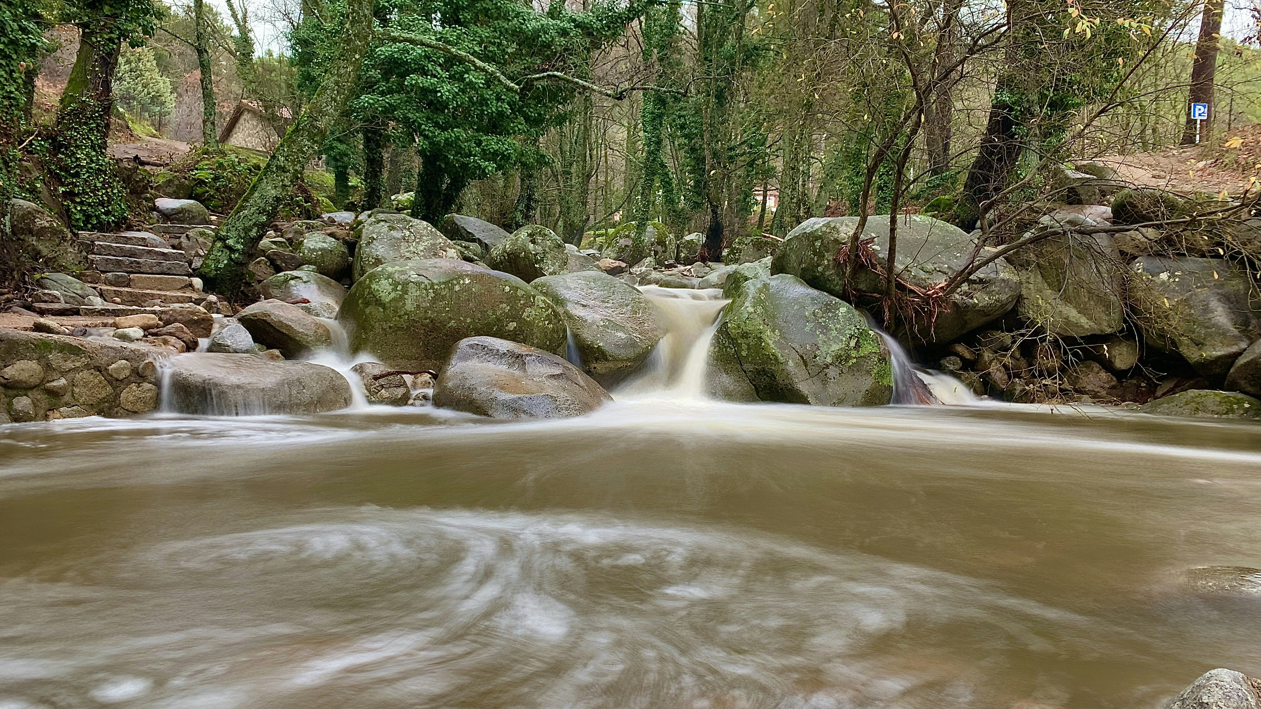 Water stream with trees on side photo – Free Water Image on Unsplash