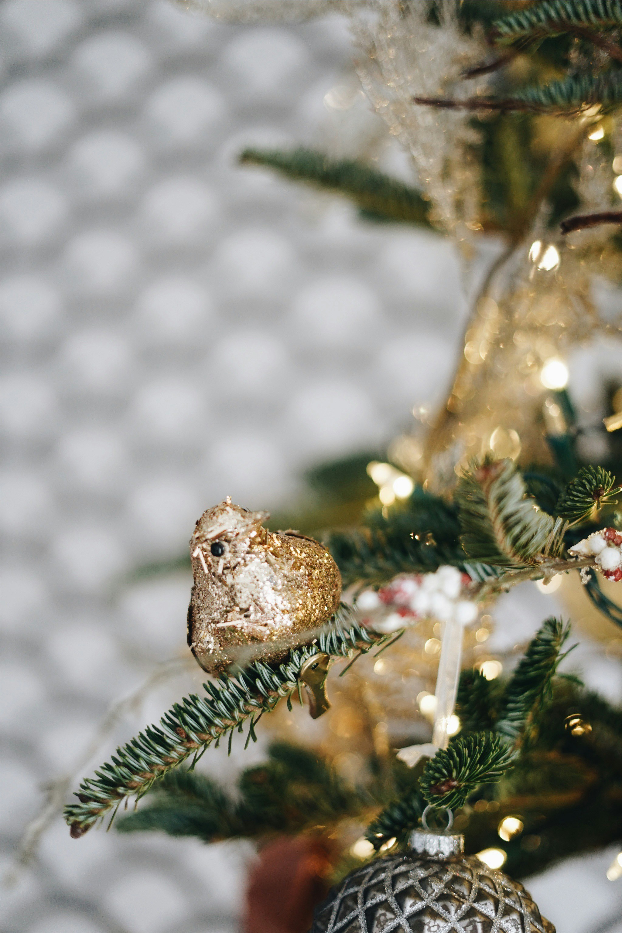 Gold bird Christmas tree decor photo – Free Plant Image on Unsplash