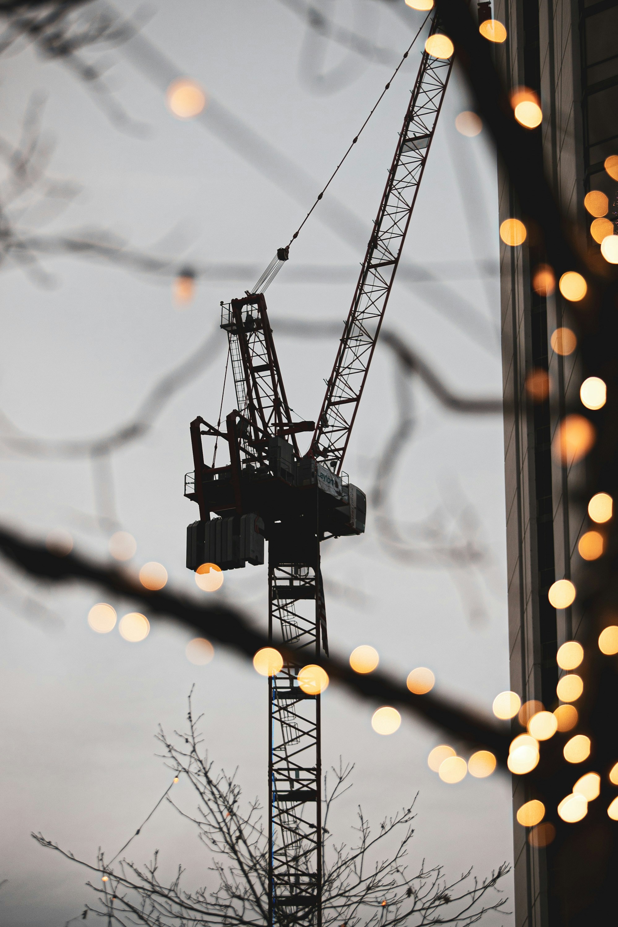 Crane in Twilight: A Lattice Silhouette Among Golden Orbs