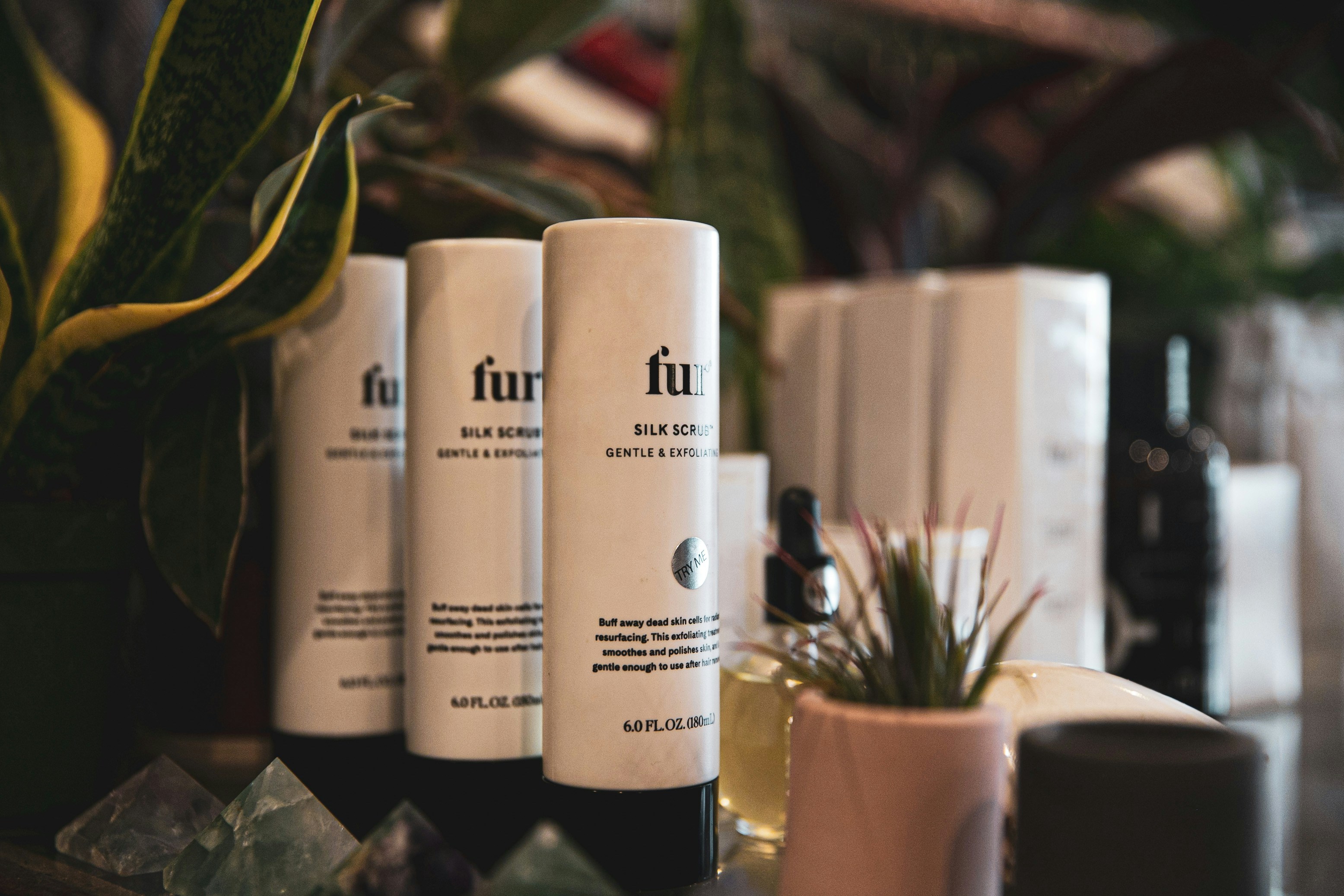 Silky Essentials: A Row of Complexulated Silky Hair Care Bottles in a Gentle Plant Studio