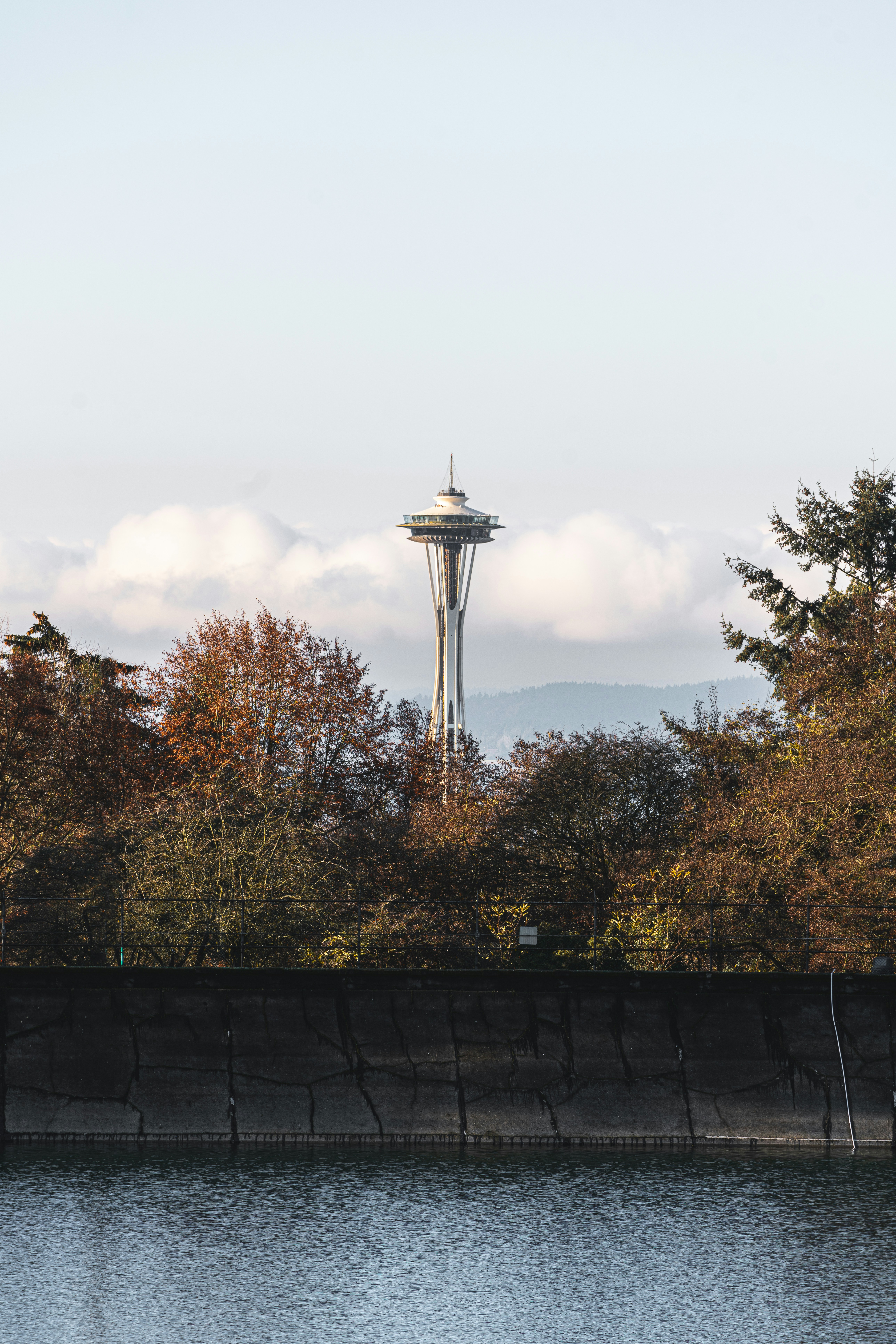 Rising Above Fall Foliage: Space Needle at Seattle's Waterfront