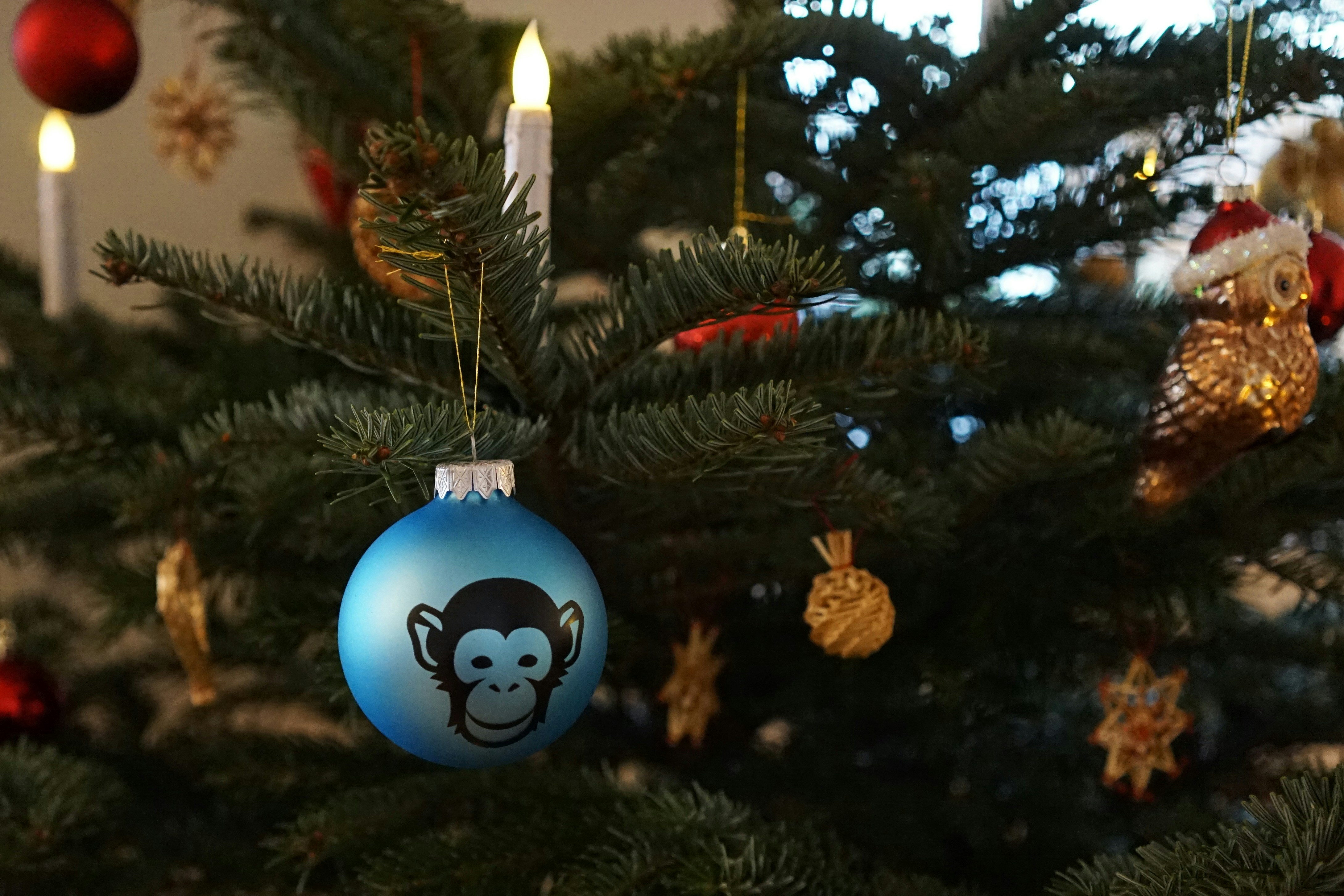 Blue Monkey Ornament on a Cozy Christmas Tree