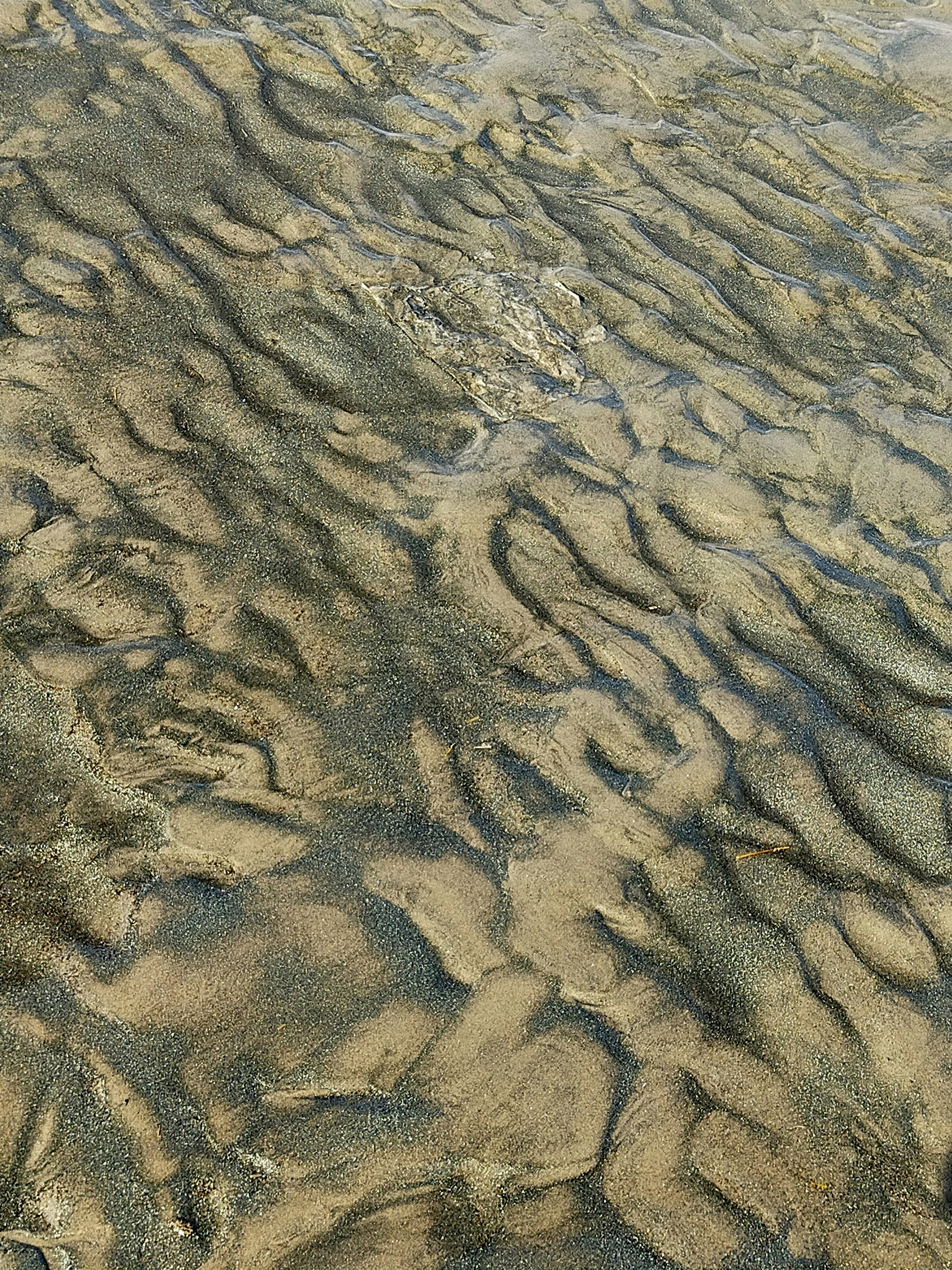 Safdar Rehman (@safder951) | Unsplash Photo Community