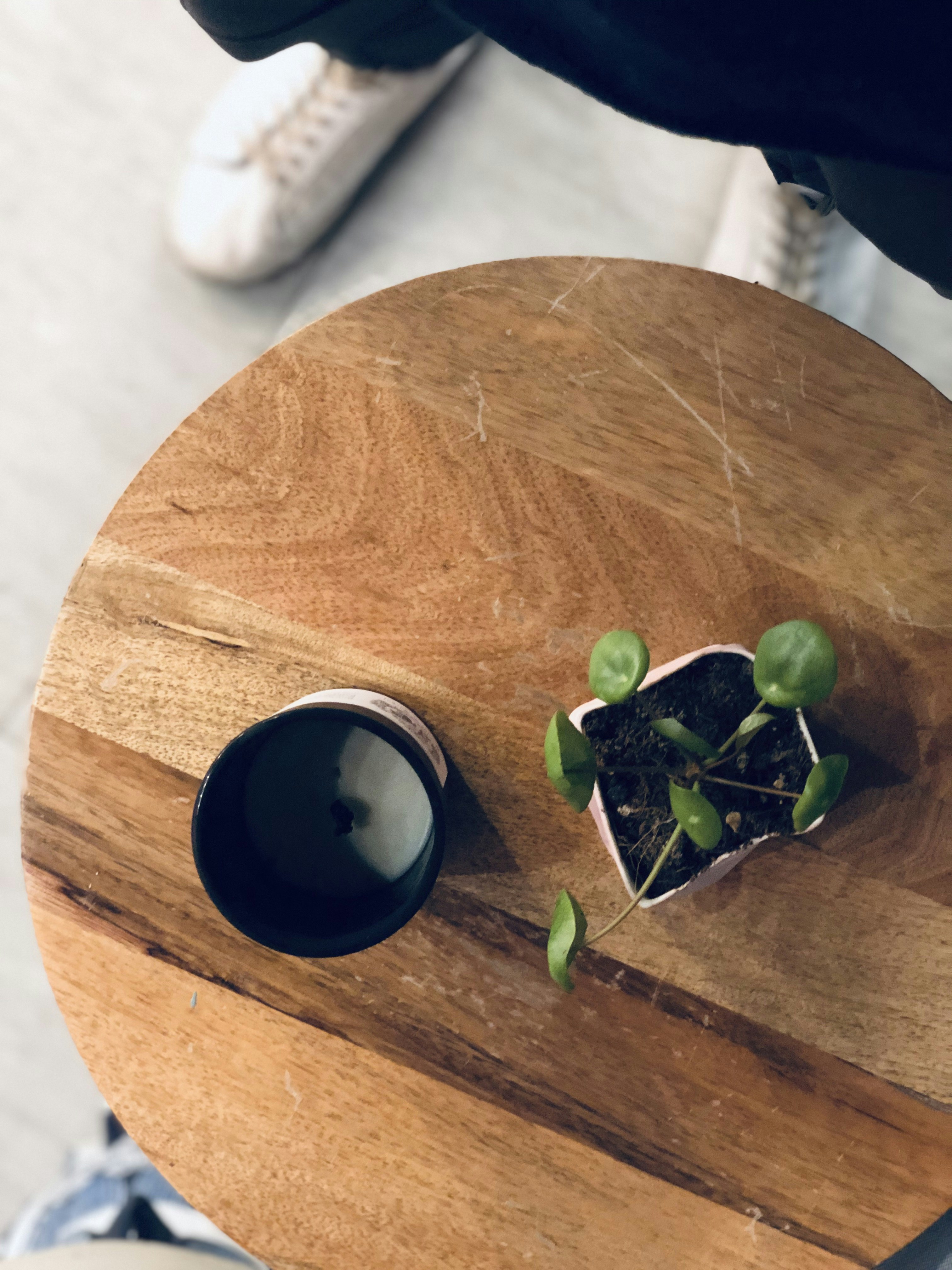 Verdant Quiet on a Rustic Round Table