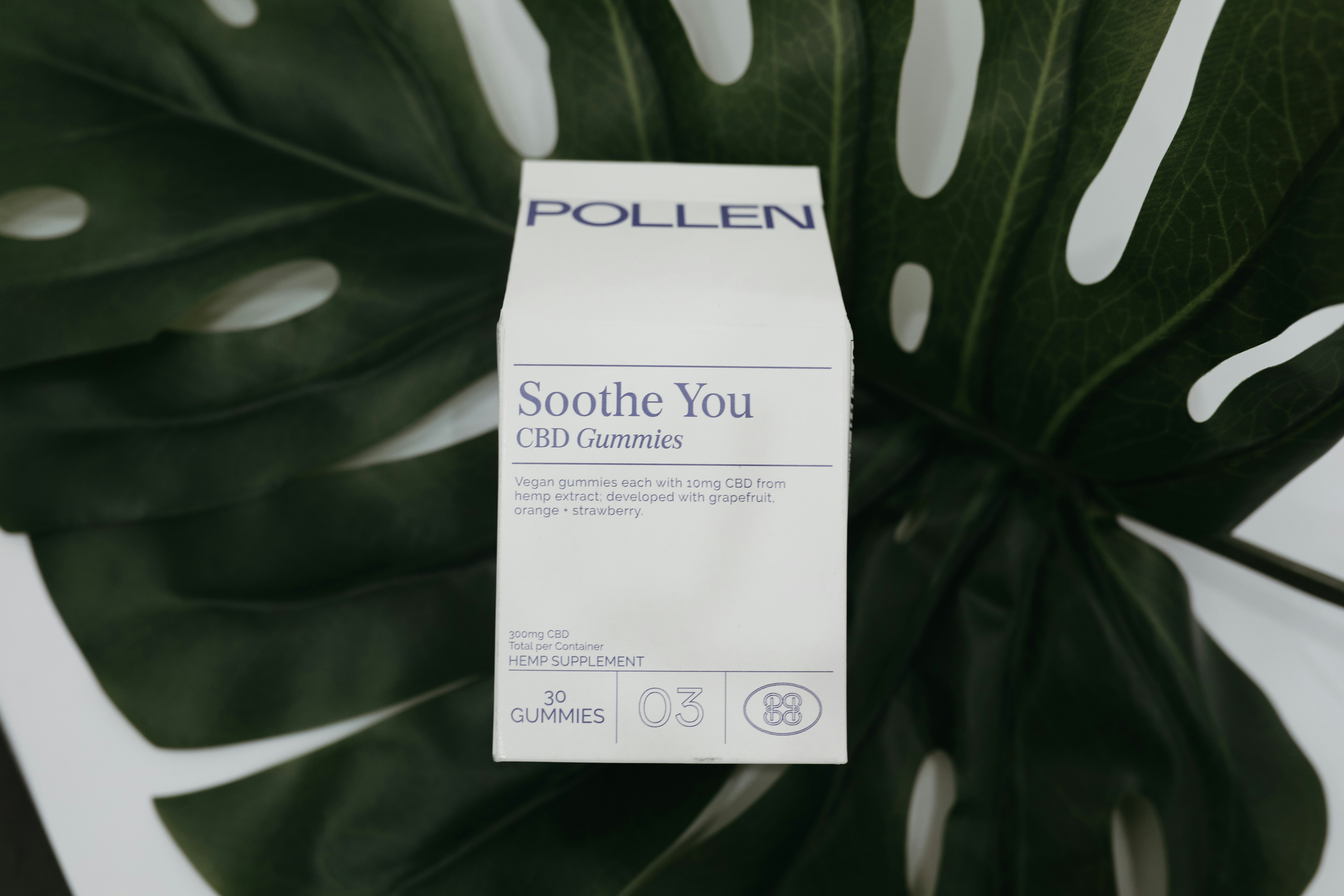 Swiss chess plant photo – Free Flower Image on Unsplash