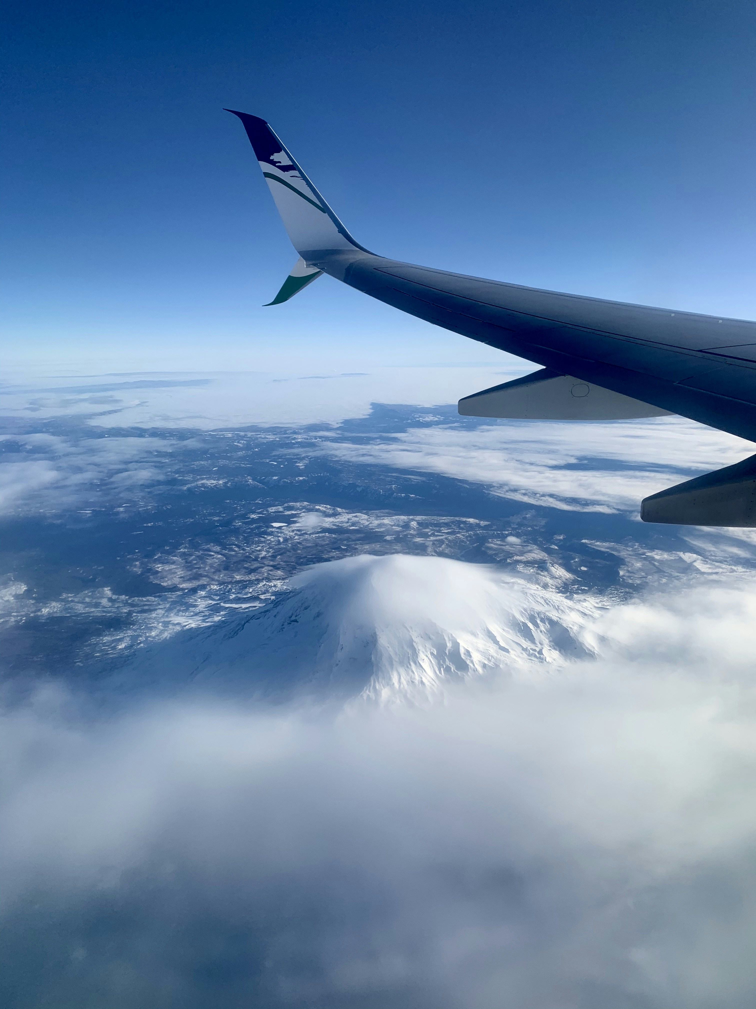 White and blue tail of airplane during daytime photo – Free Blue Image ...