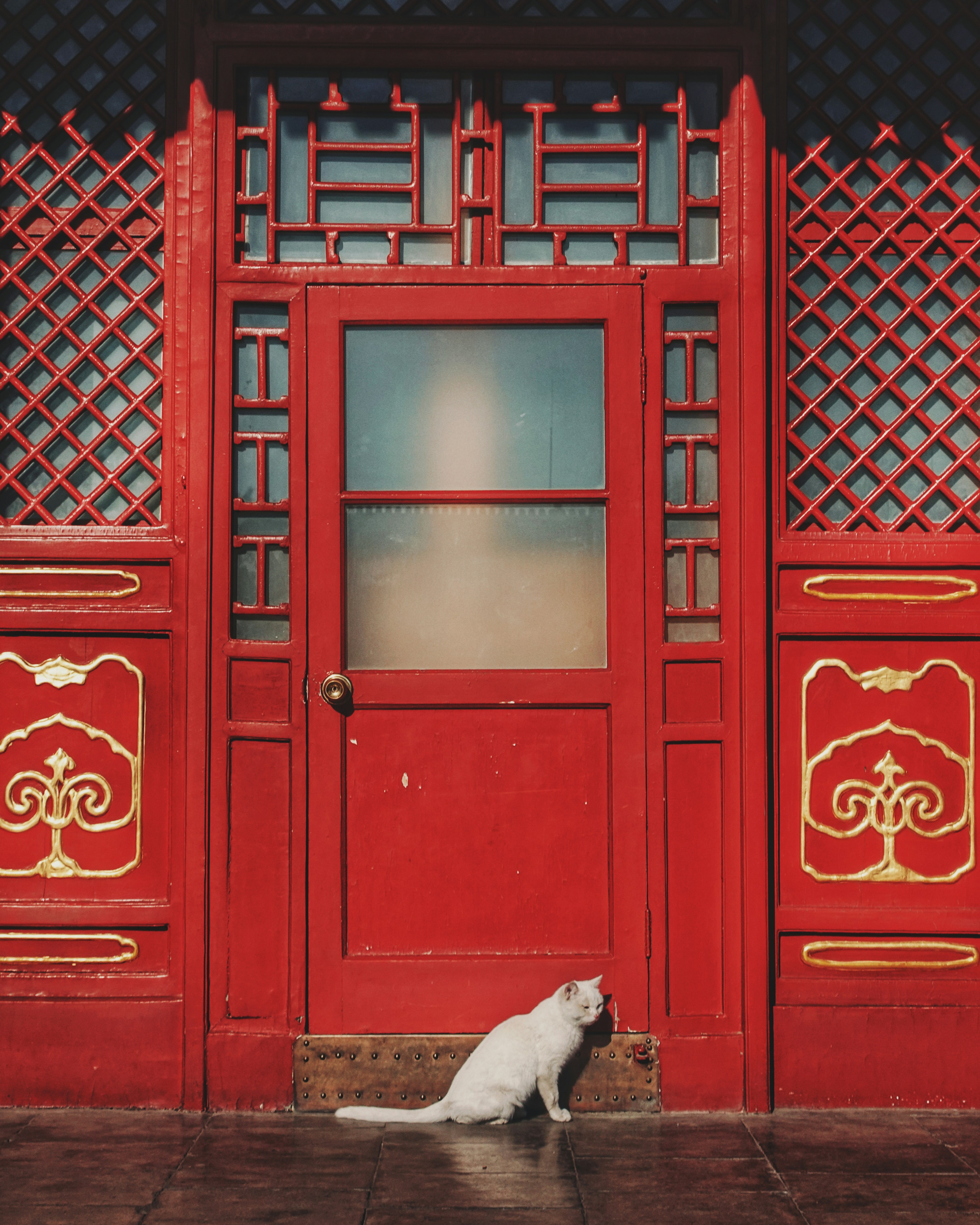 Red Doorway Serenade: A White Cat at a Stately Threshold