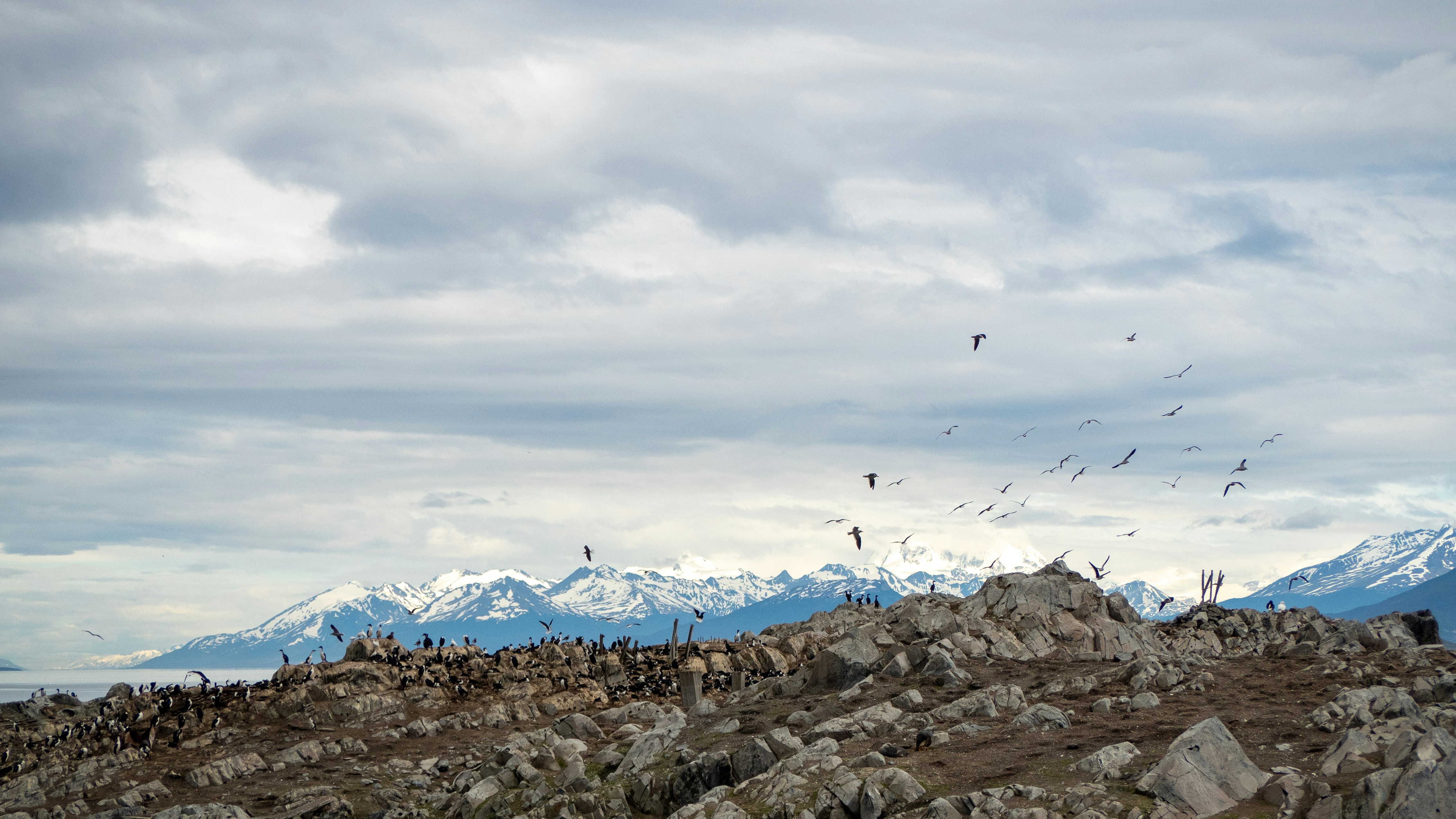 Granite Breakwater, Birds in Flight, and a Snowbound Horizon
