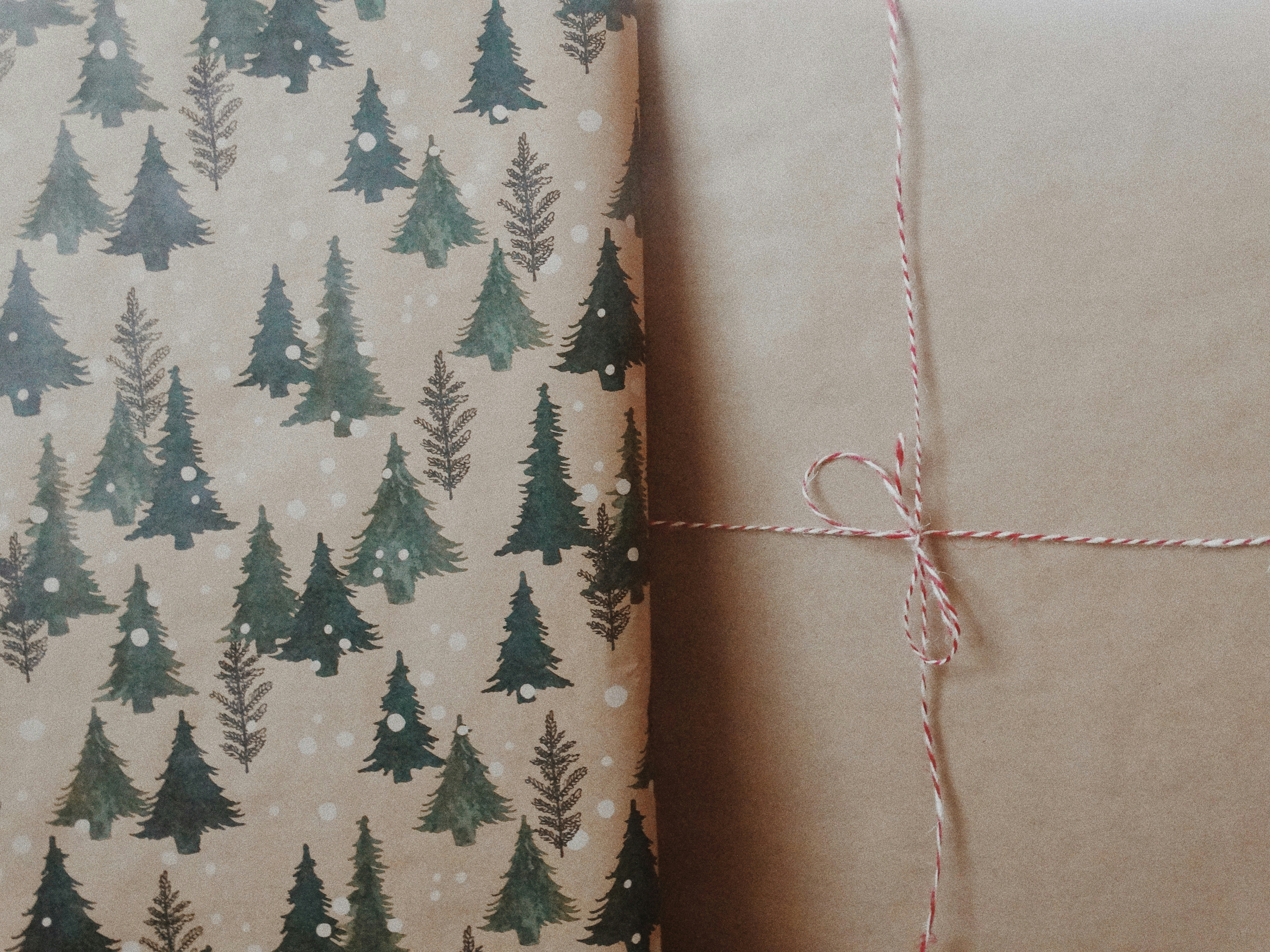 A wrapping paper wrapped in brown paper with trees on it photo – Free ...