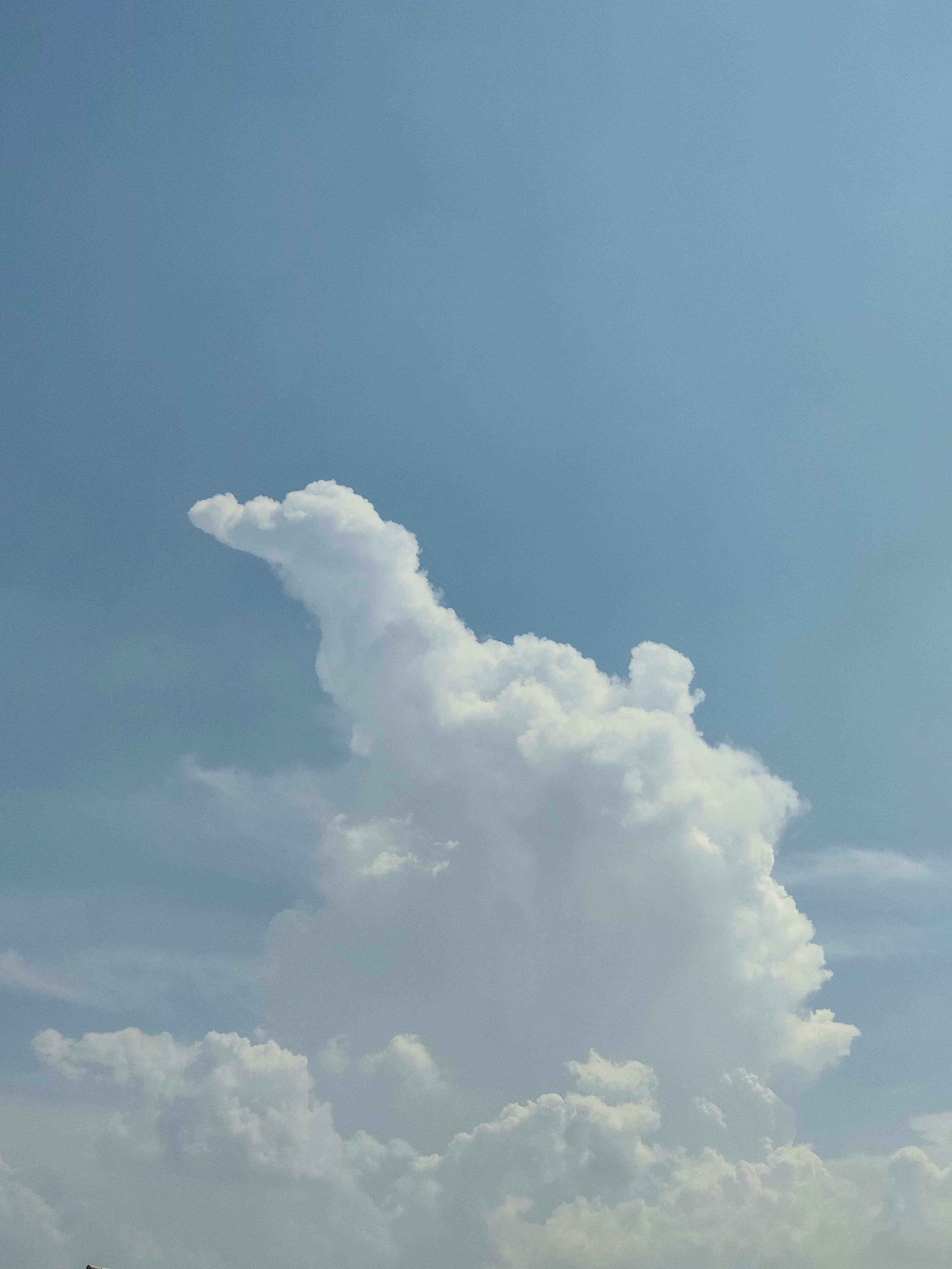 A fluffy cloud resembling a whimsical creature floats against a clear blue sky, showcasing the artistry of nature. The formation hints at playful shapes and textures.