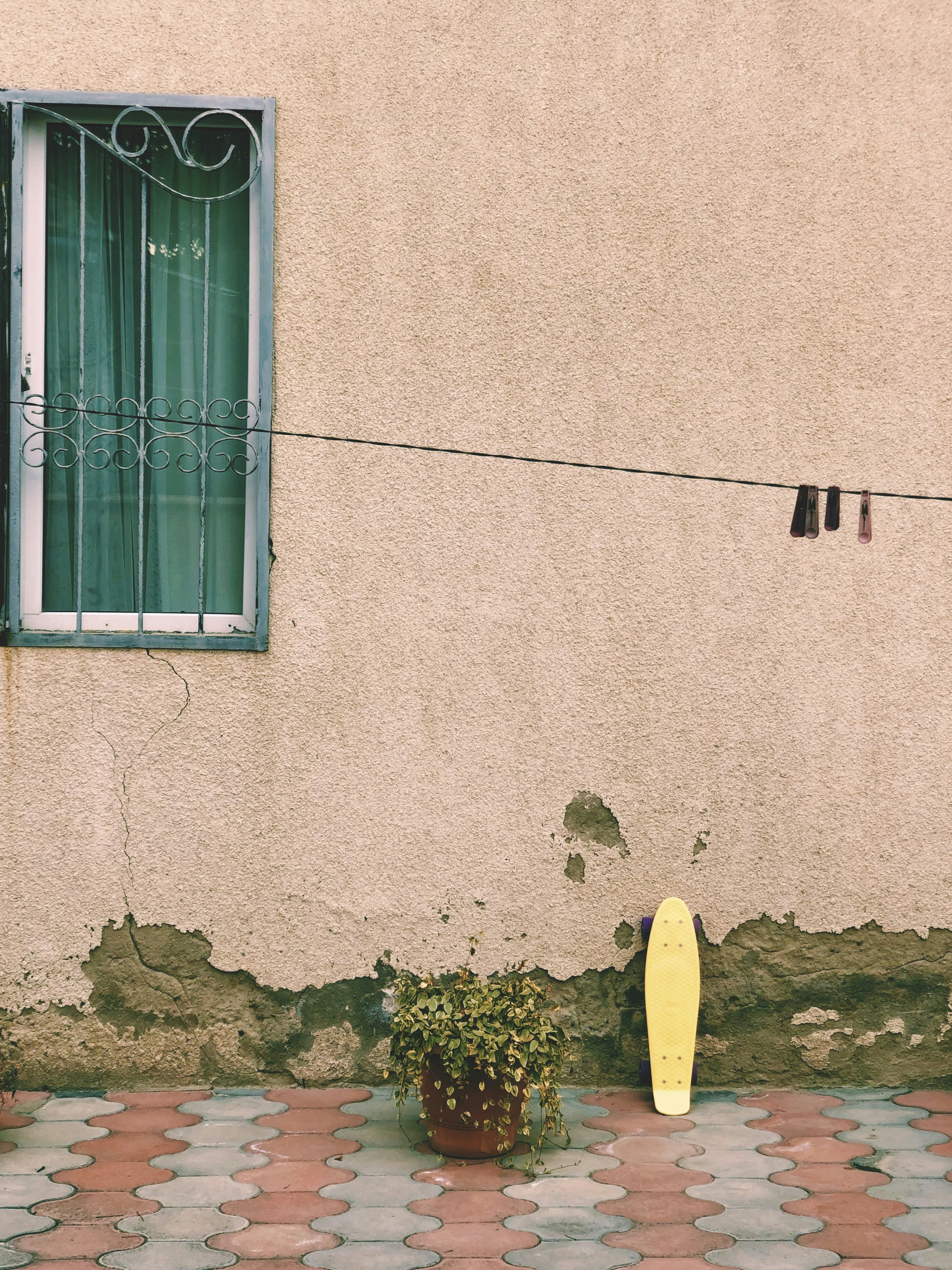 A vibrant yellow skateboard leans against a potted plant in front of a textured wall, complemented by a window with green curtains. The scene captures a playful contrast of colors and urban life.