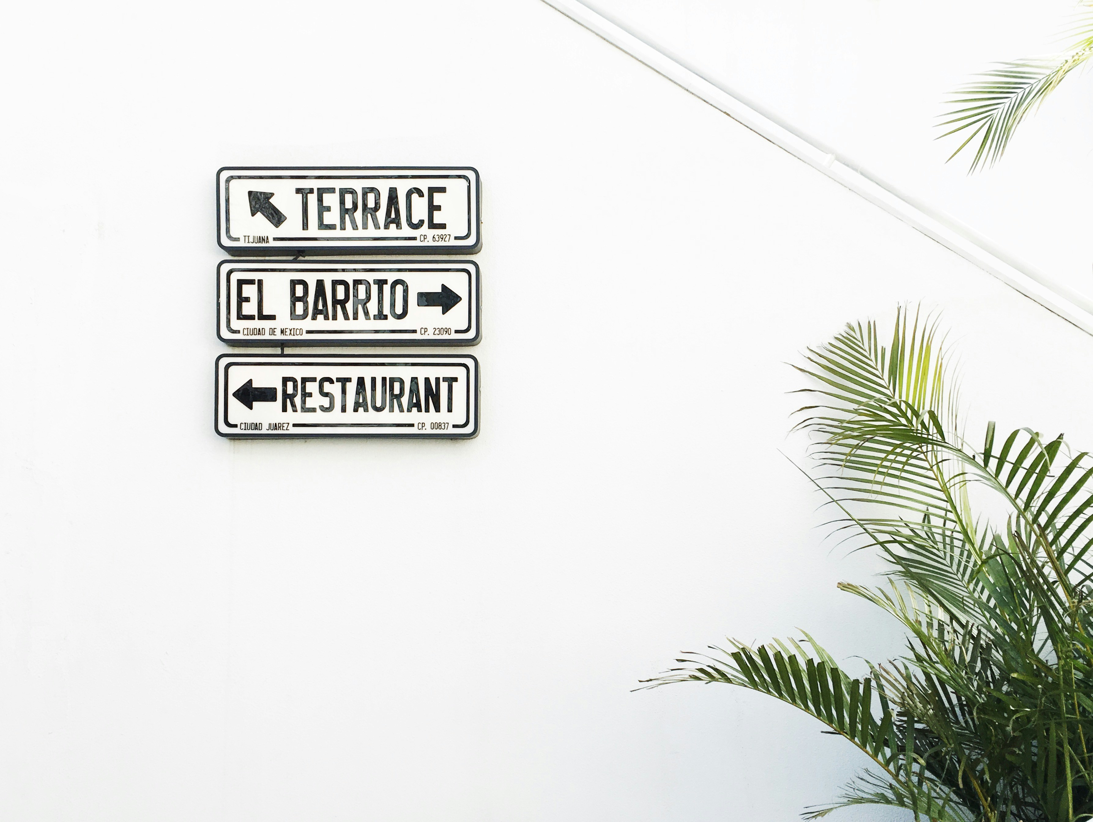Terrace, El Barrio and restaurant signs photo – Free Plant Image on ...