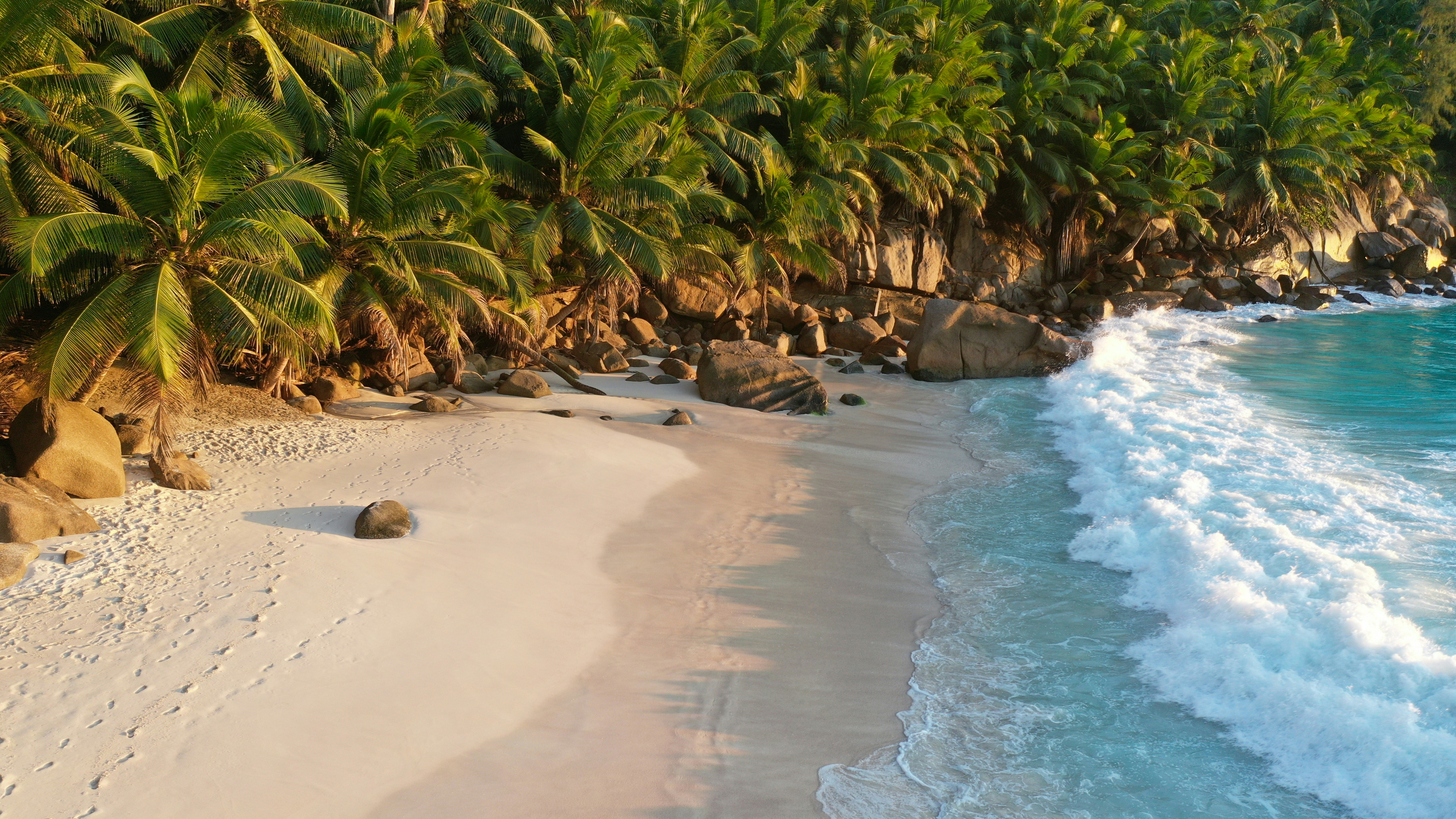 Gentle waves lap at a sandy beach bordered by lush palm trees and rocky formations. The scene evokes a sense of tranquility and natural beauty.