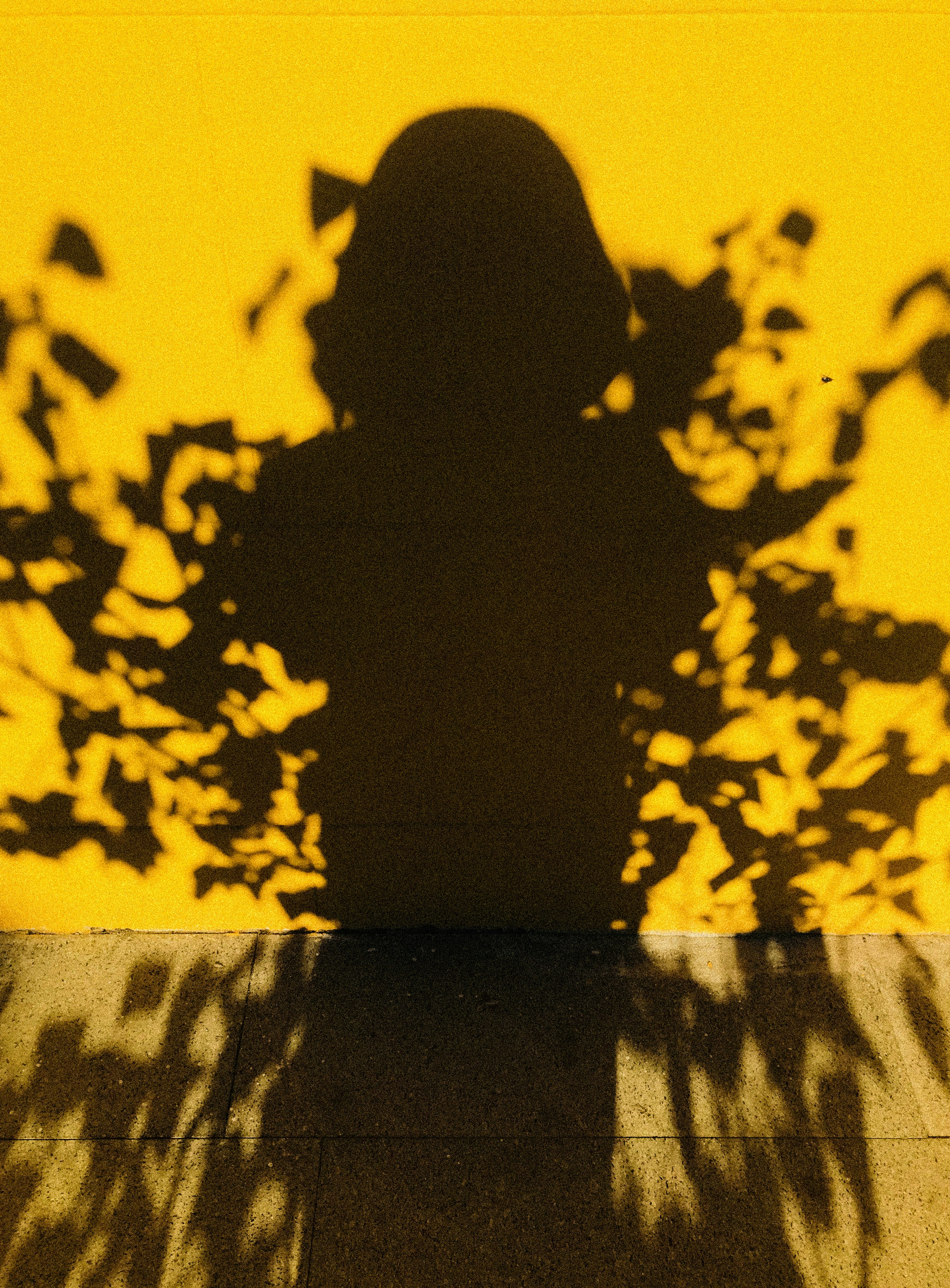 Citrine Silence: A Shadow Portrait Beneath Leaf-dappled Light