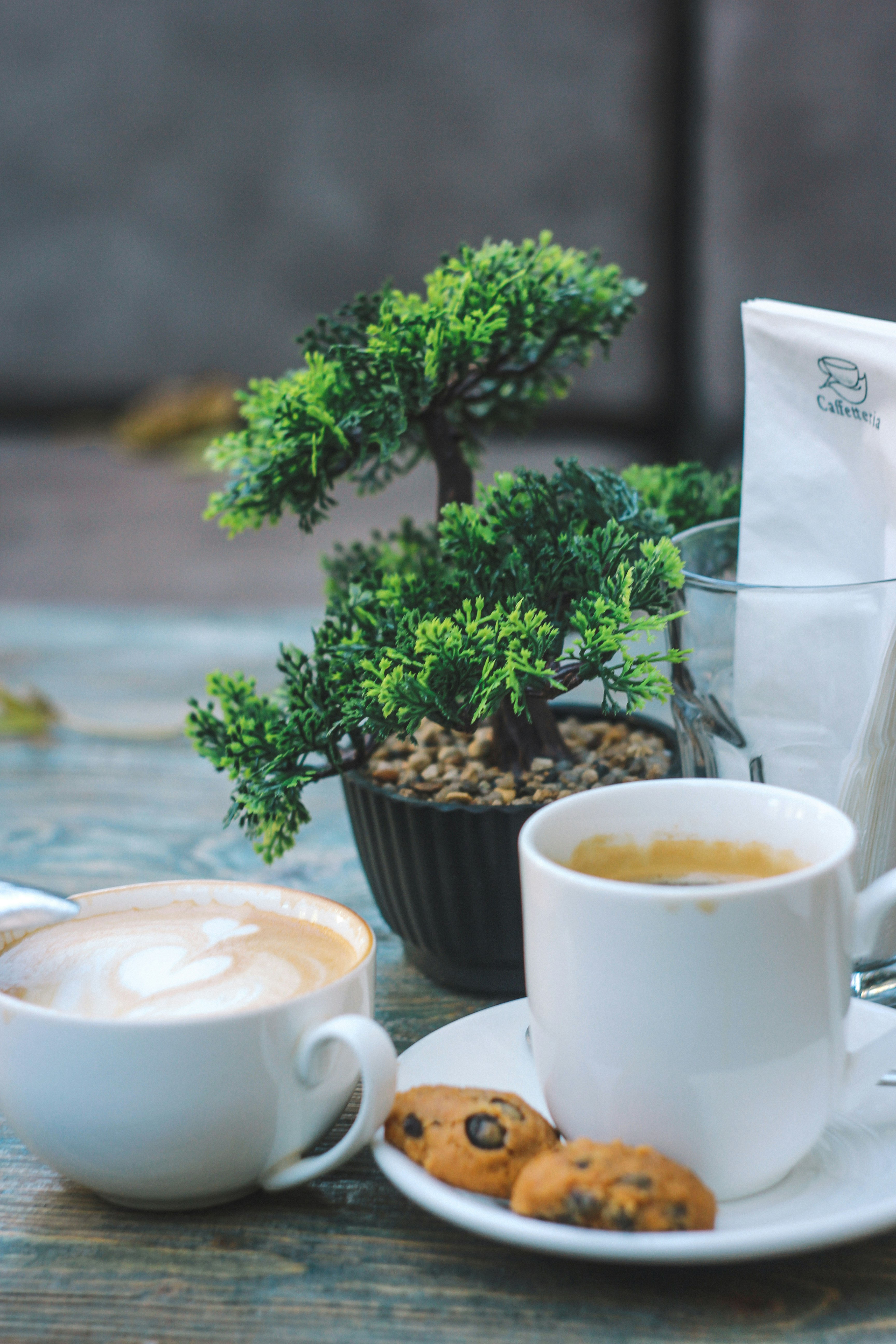 Bonsai Among Cups: A Quiet Café Still Life