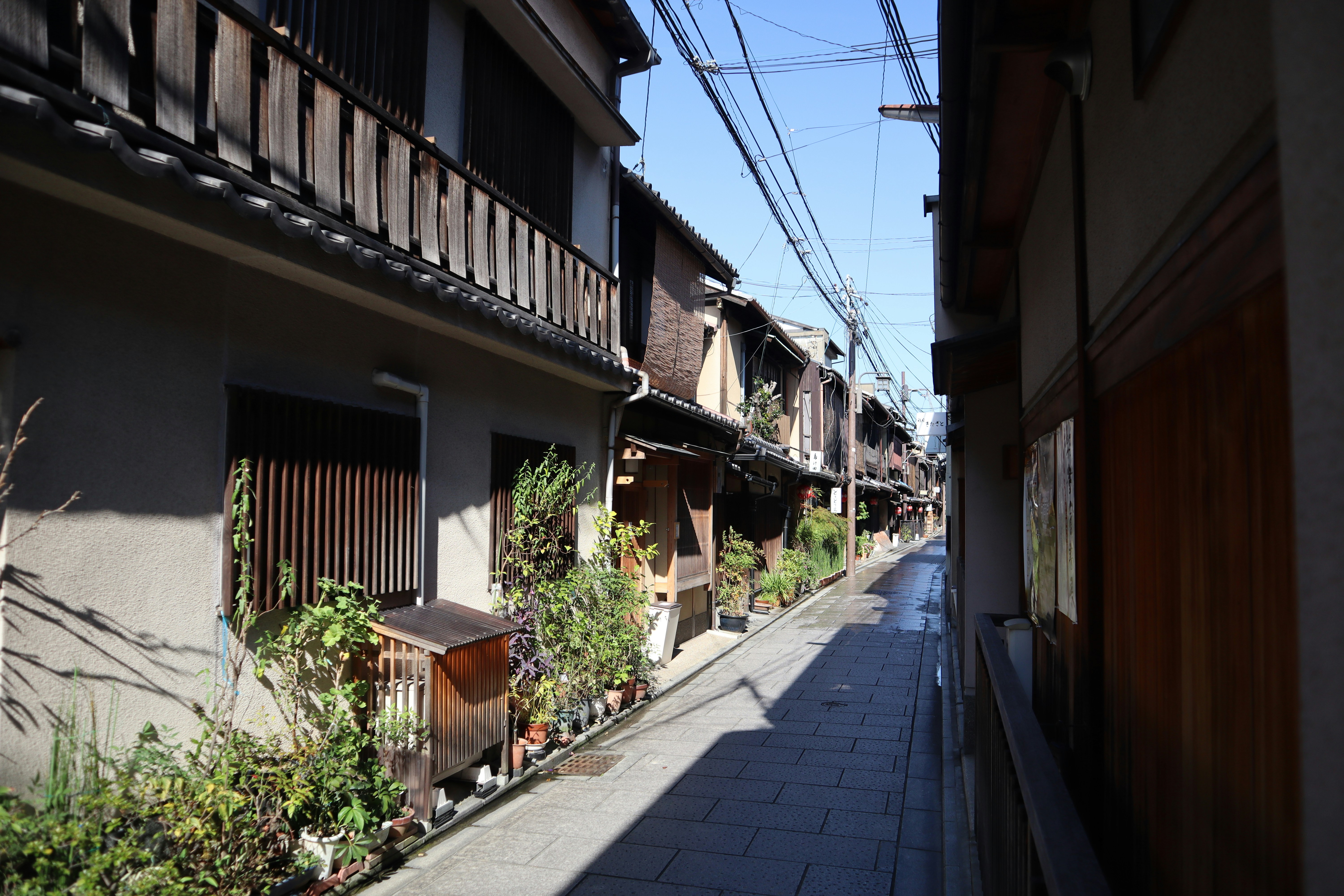 Cassie Lafferty (@wistfulempire) | Komunitas Foto Unsplash