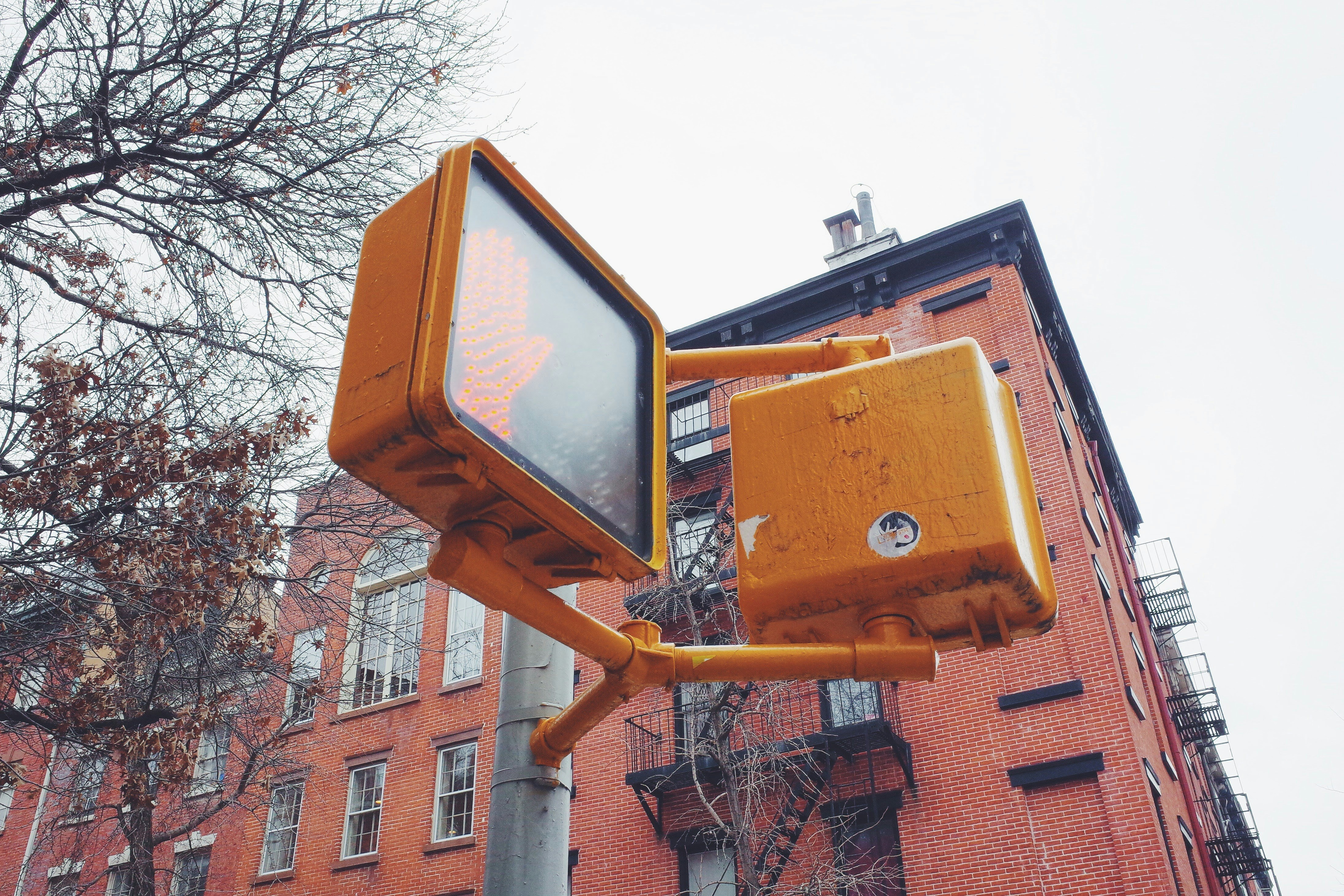 Shallow focus photo of street lights photo – Free Brooklyn Image on ...