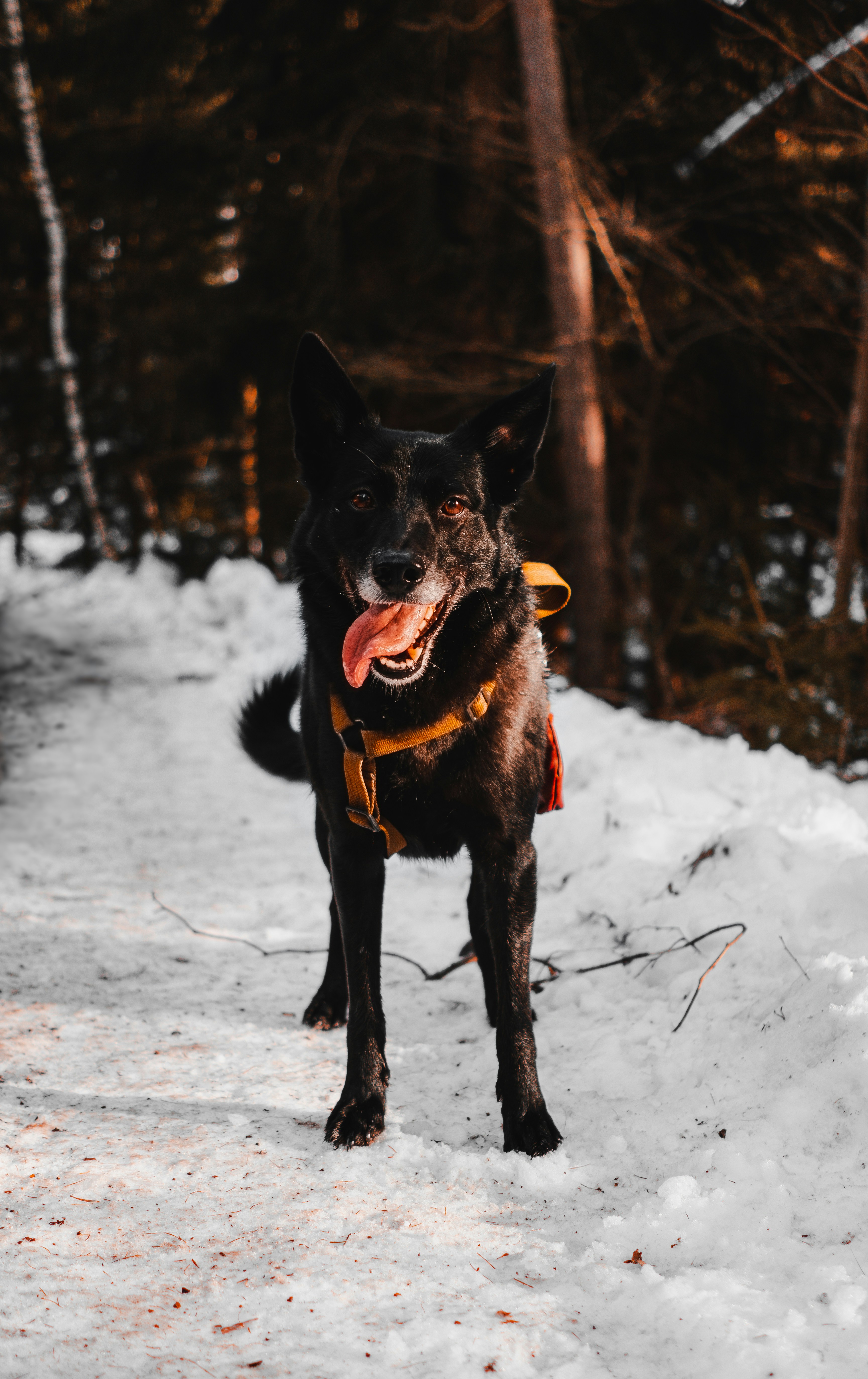Ritten Photos | Télécharger des images gratuites sur Unsplash