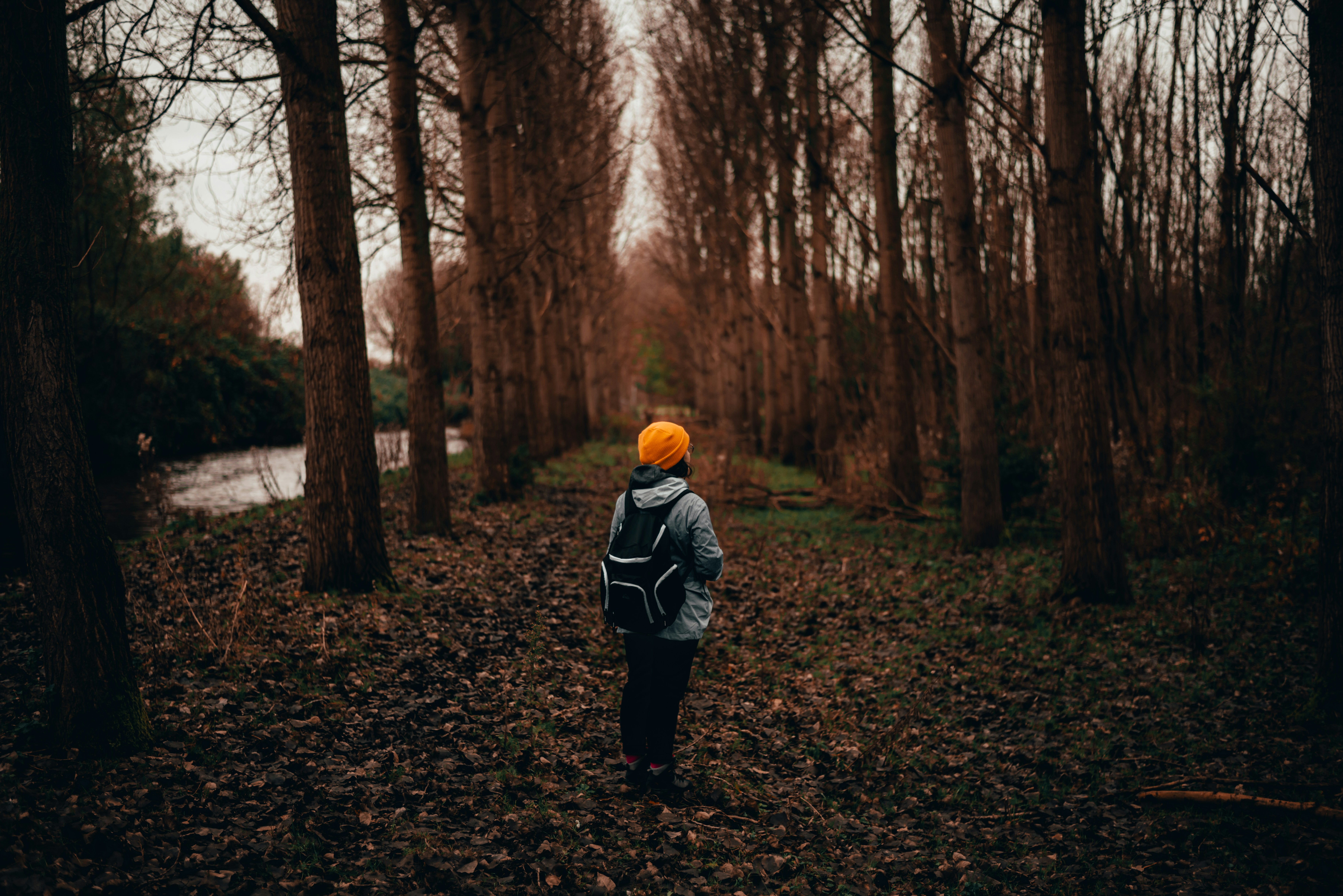 Person standing between trees photo – Free Girl Image on Unsplash