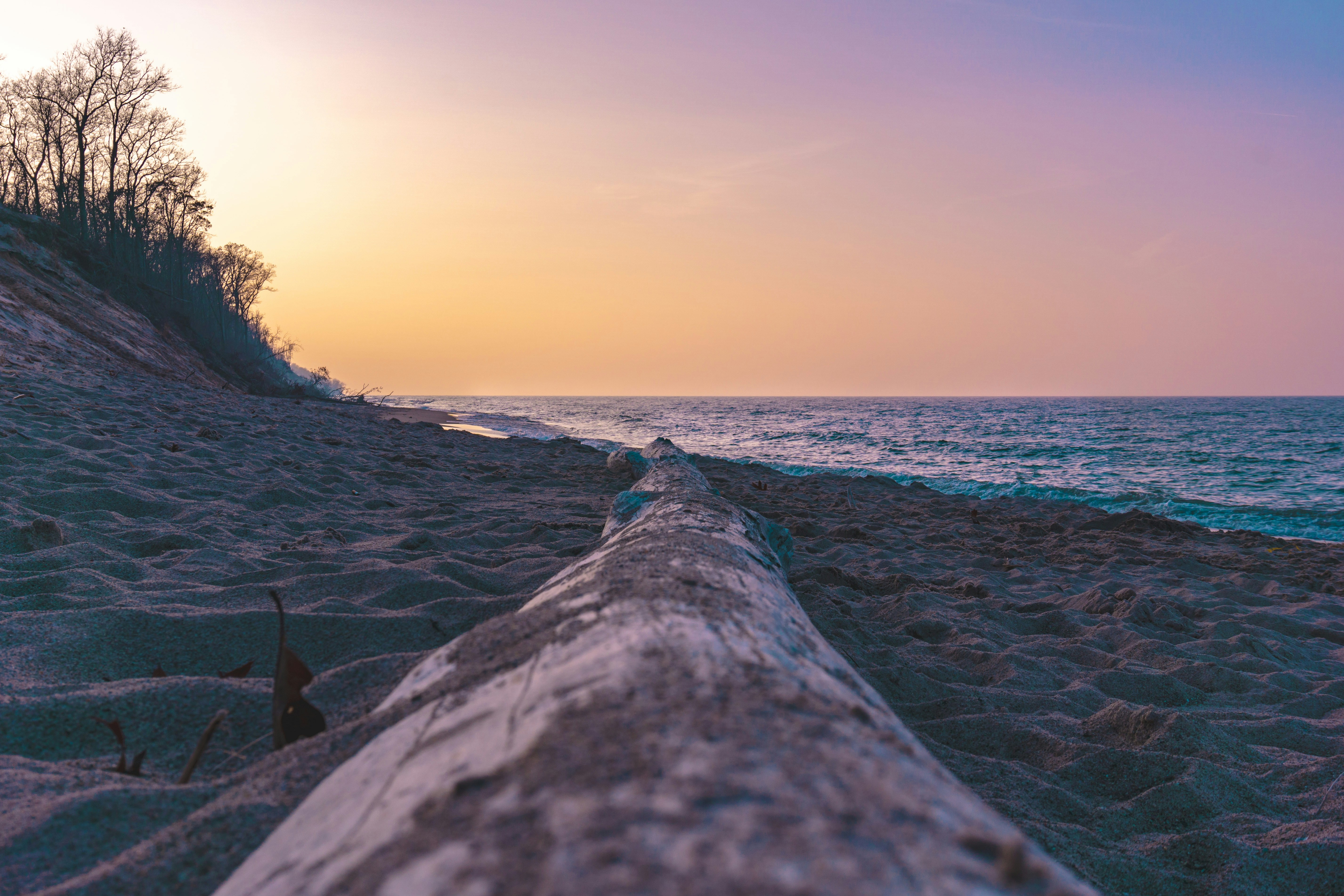 Nathan Rodriguez (@nathanrodrigue_z) | Unsplash Photo Community