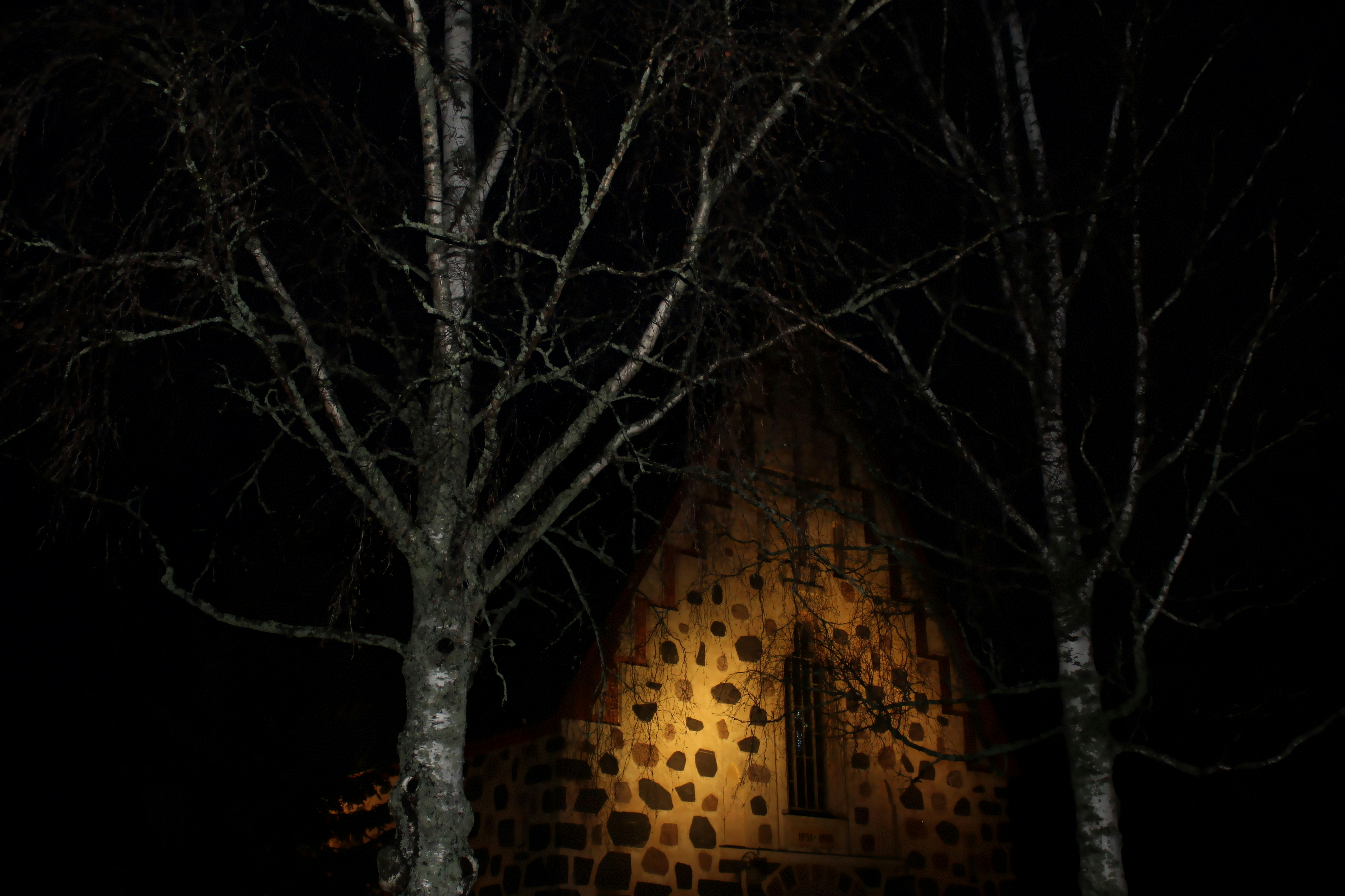 Anne Nygård (@polarmermaid) | Unsplash Photo Community