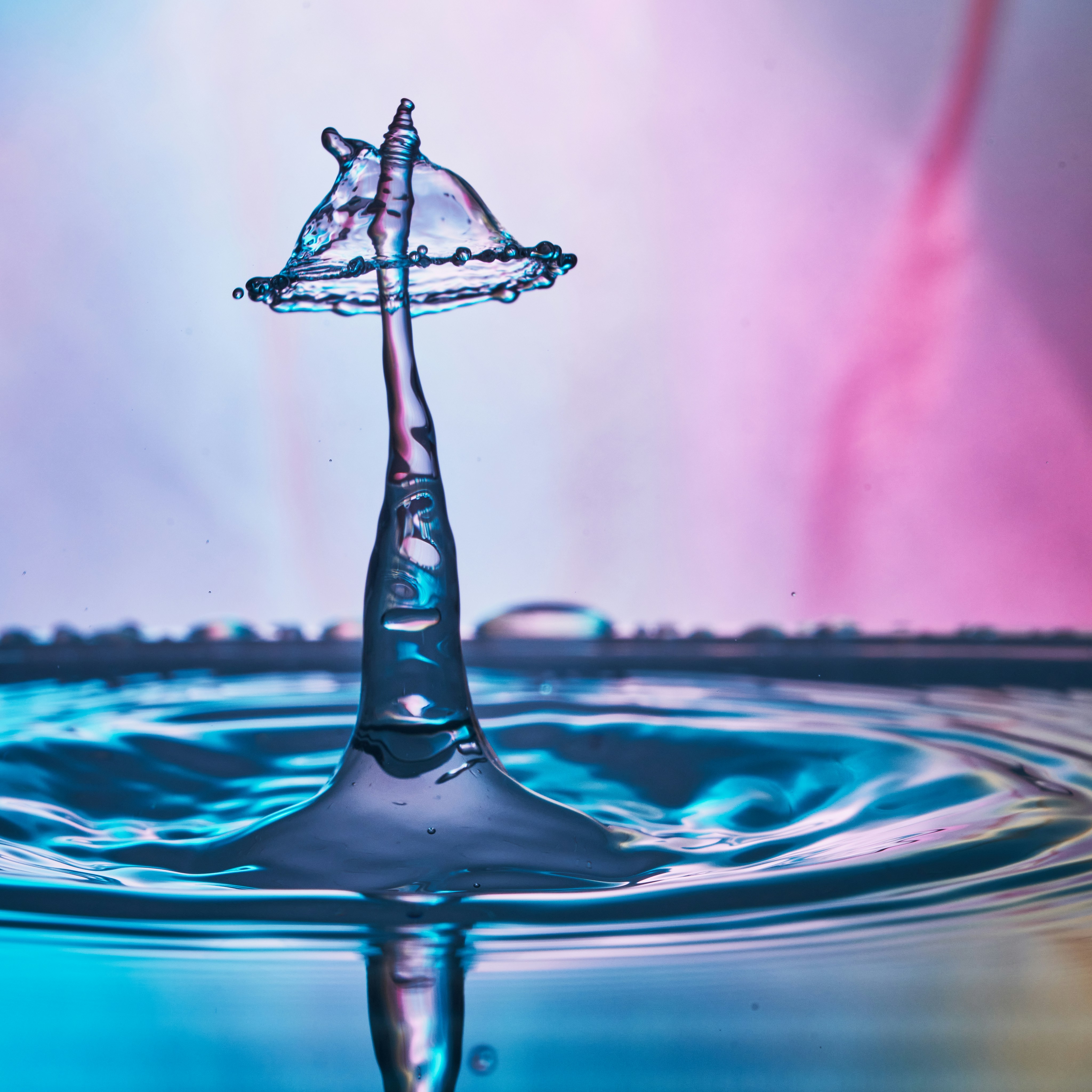 Water ripple photo – Free 841 10 bratislava-devín Image on Unsplash