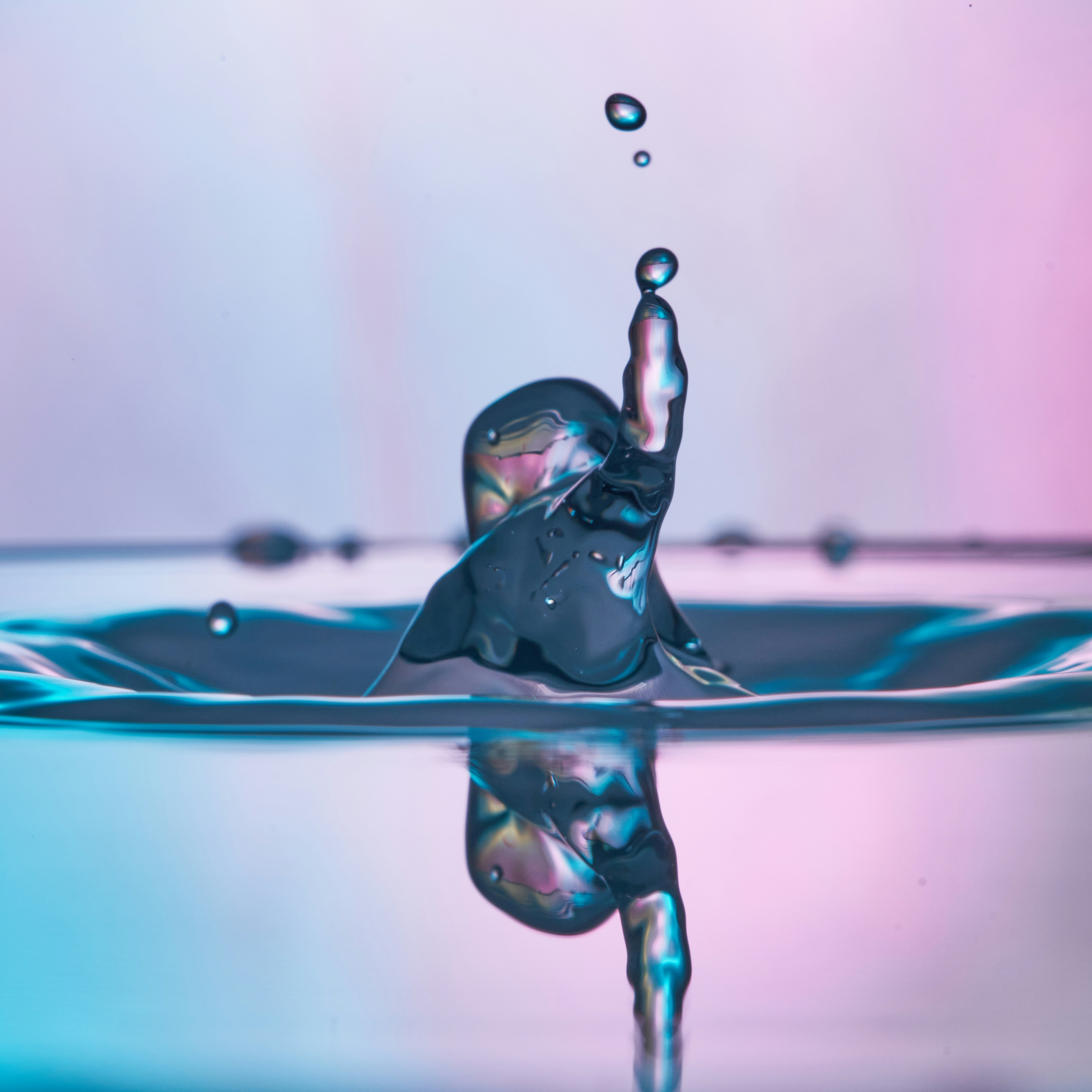 Body of water photograph photo – Free 841 10 bratislava-devín Image on ...