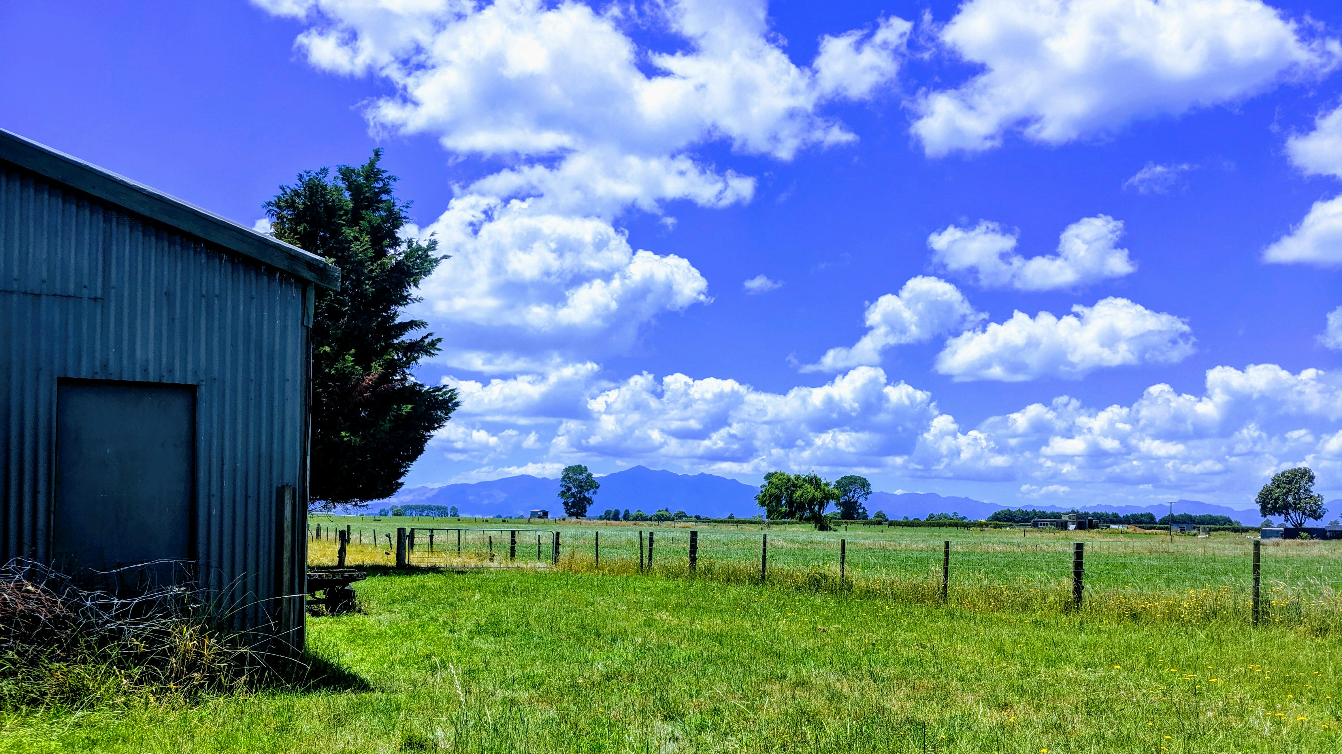 Jeevan Jose (@jeevanjose) | Unsplash Photo Community