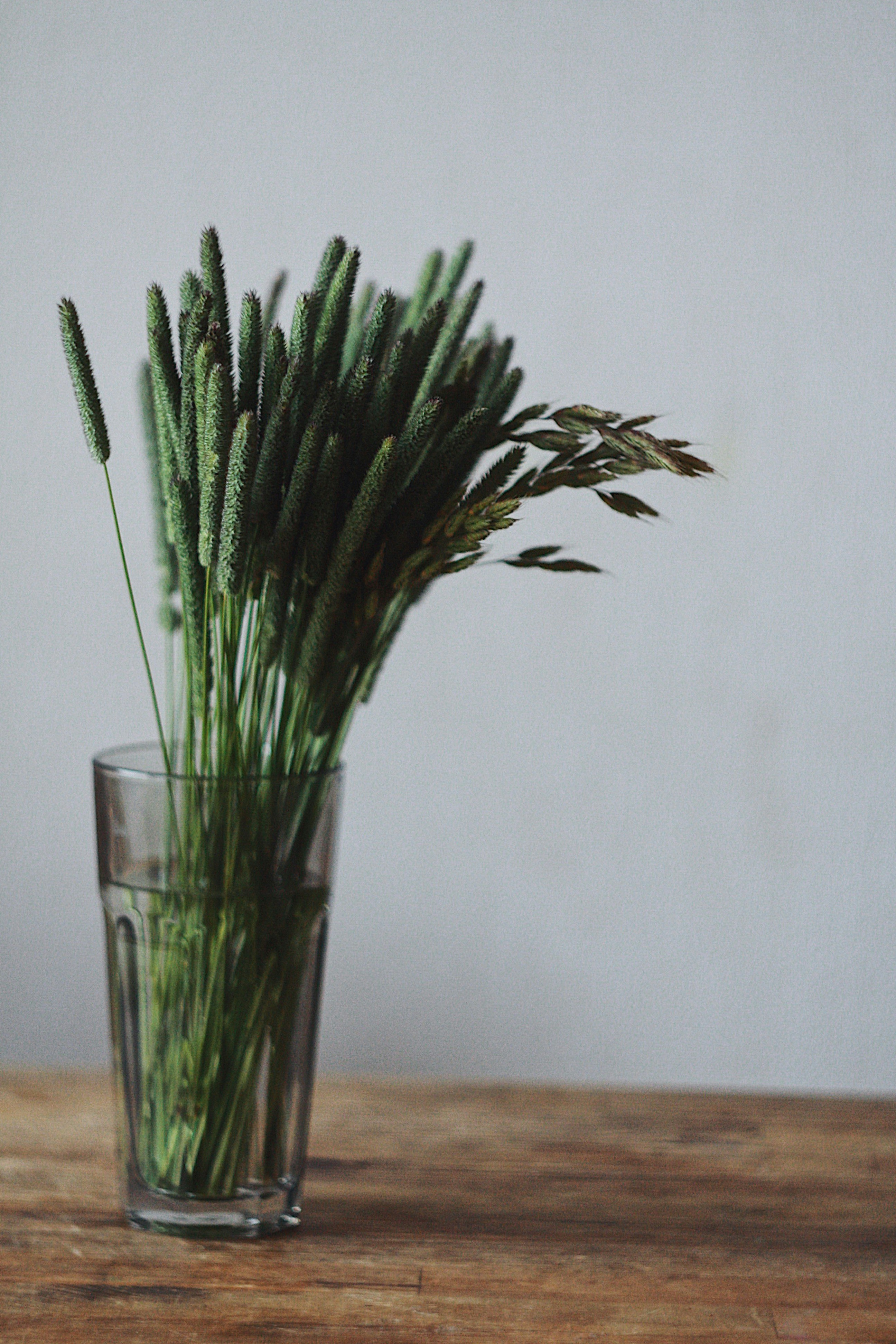 Minimal Vase: Quiet Green Stems in a Glass on a Wooden Table