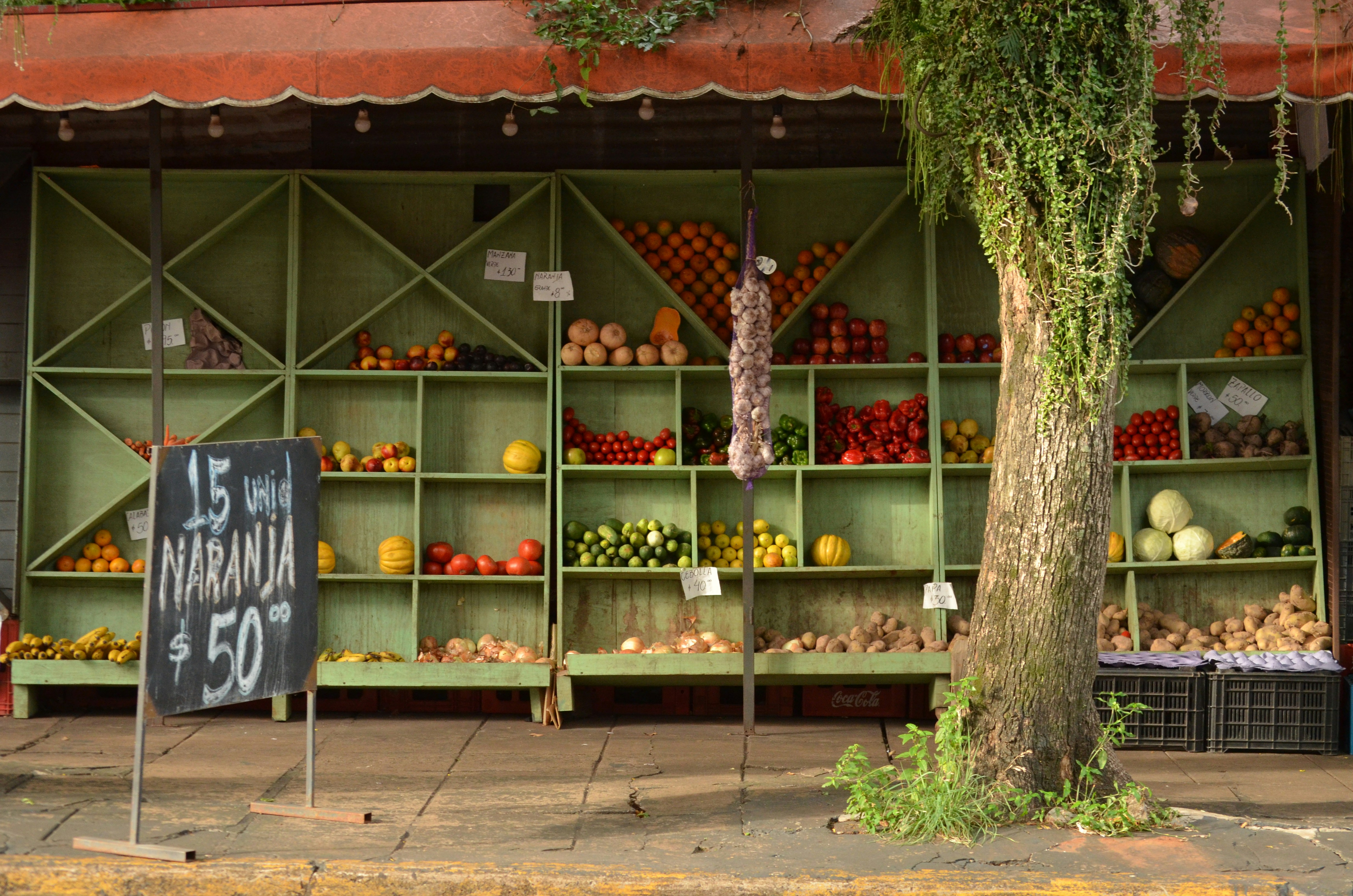 Colorful array of fresh fruits and vegetables displayed on wooden shelves at a local market, with a sign advertising oranges. A tree adds a natural element to the scene.