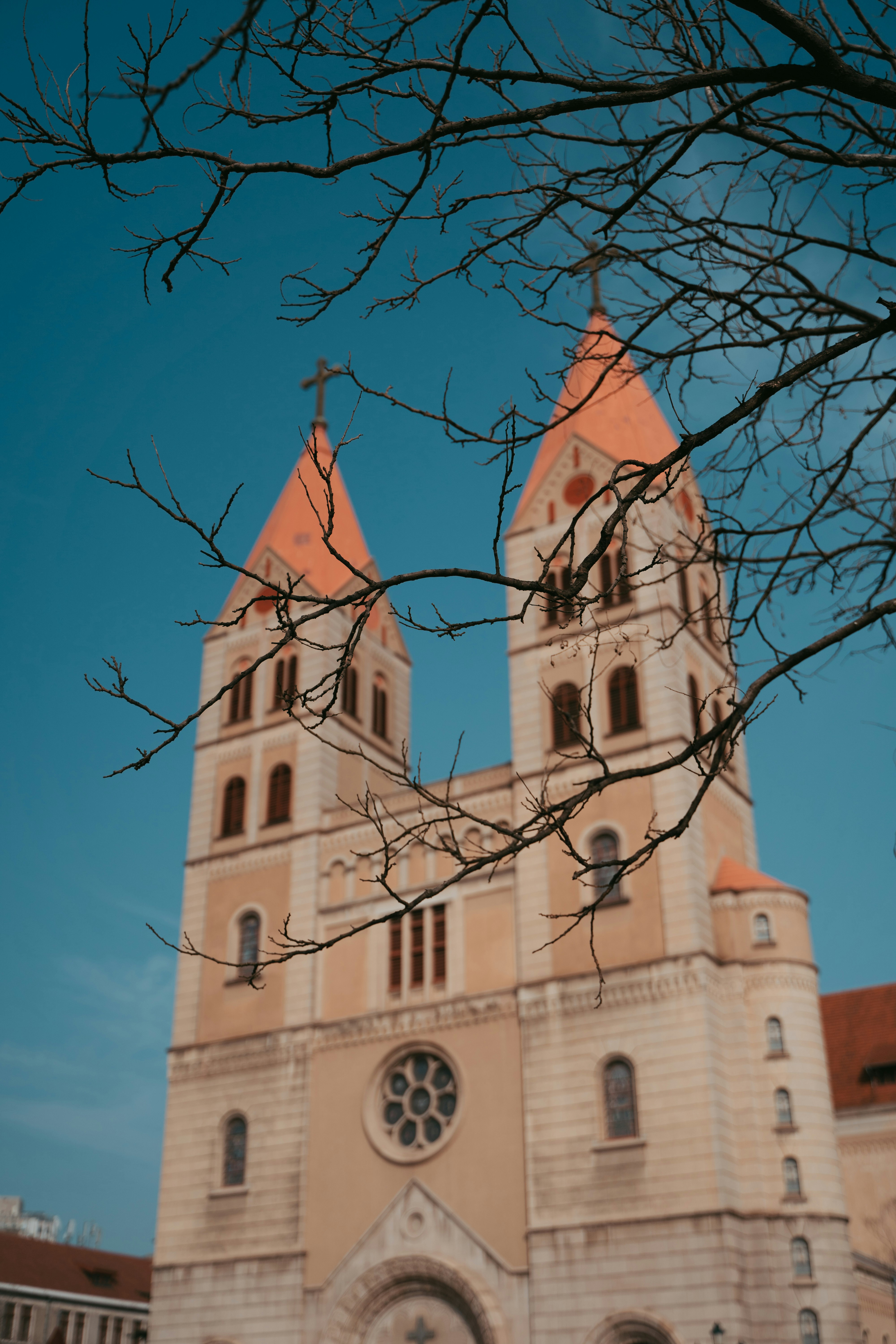 Historic church towers rise against a clear blue sky, framed by bare branches, emphasizing the contrast between nature and architecture.