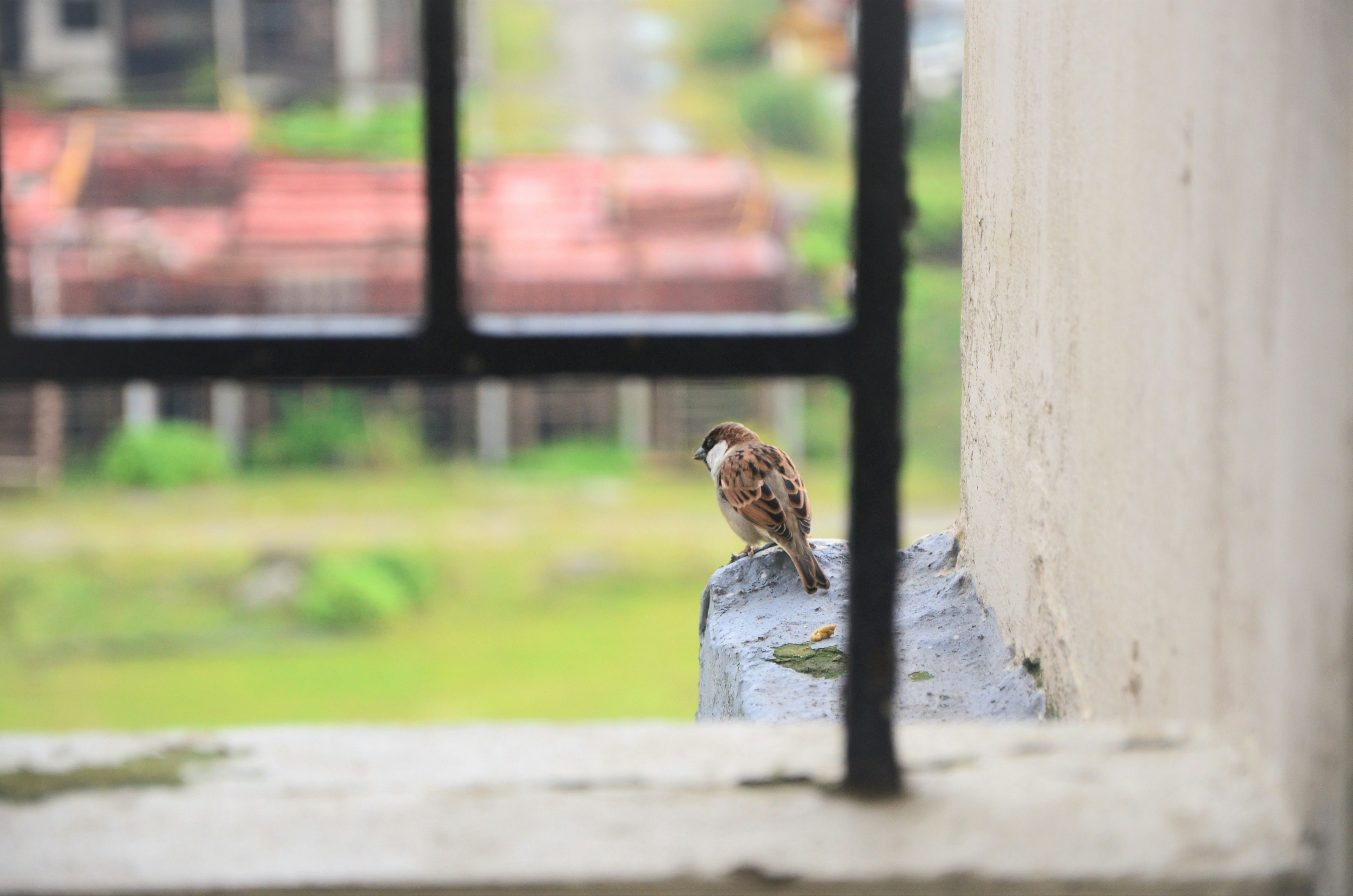 Well, learning photography with DSLR exposes you to see world from lot many angles than before. #CheersToDigitalPhotography