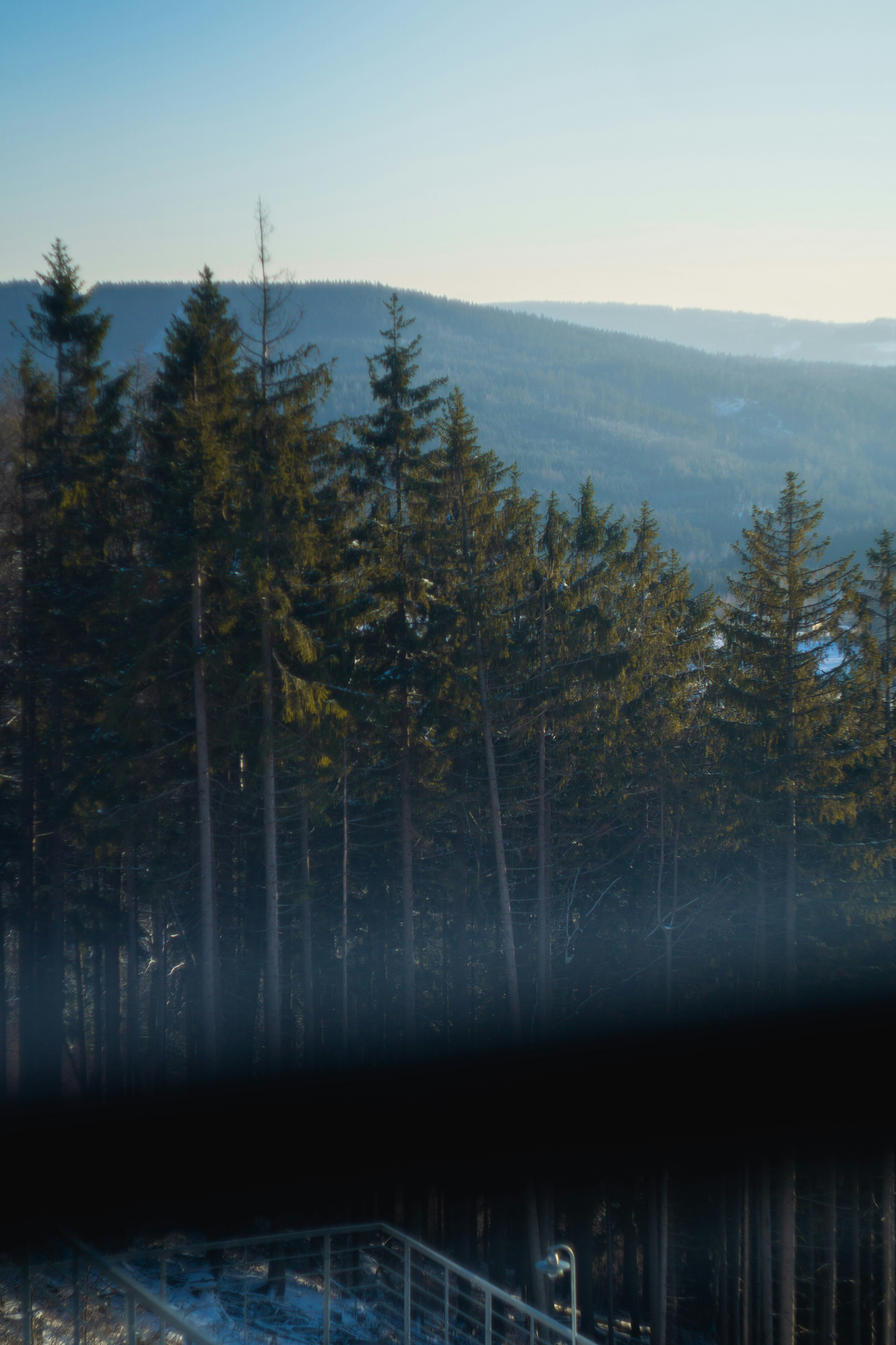 Tall evergreen trees stand against a distant mountain backdrop under a clear blue sky.