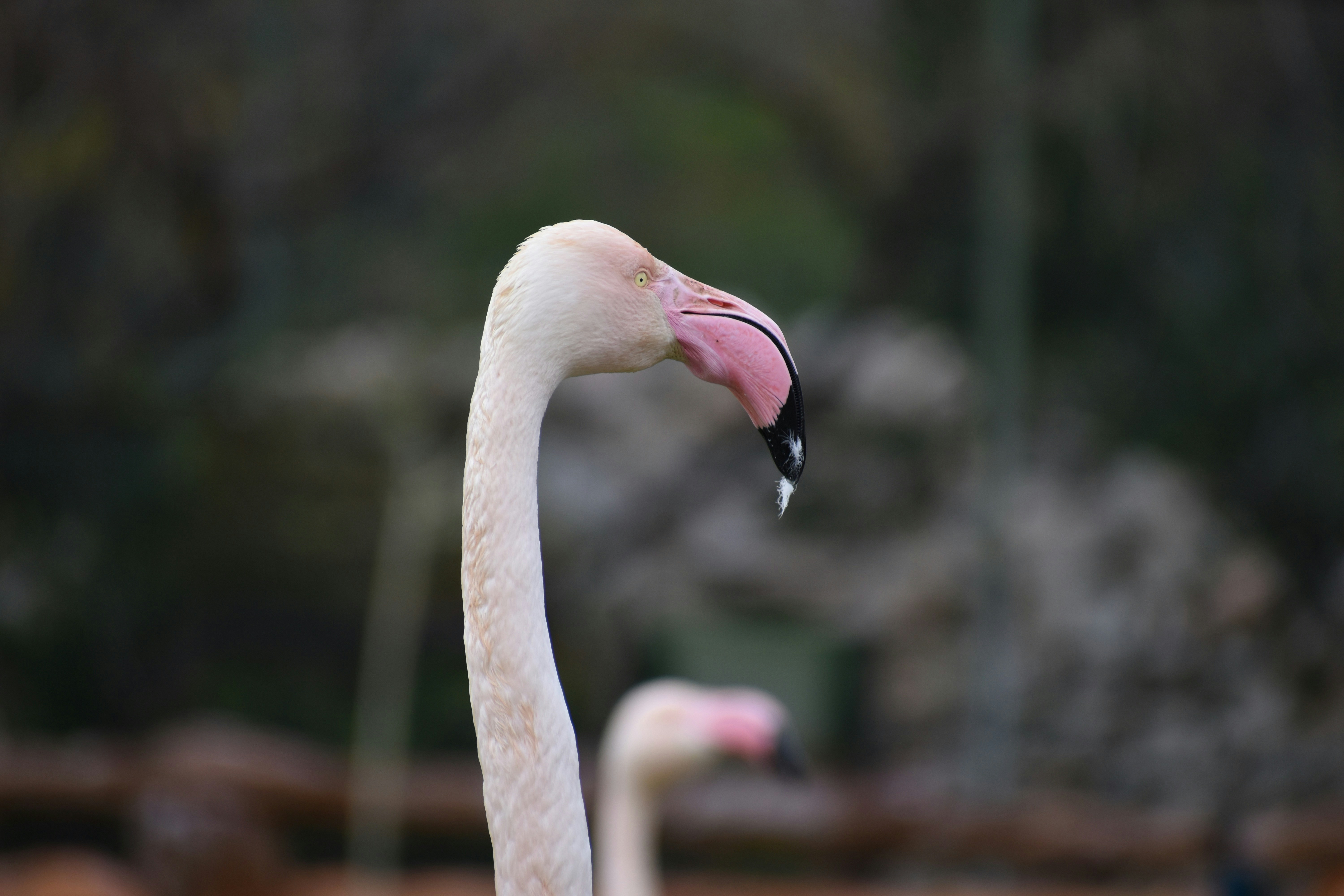 The world of nature