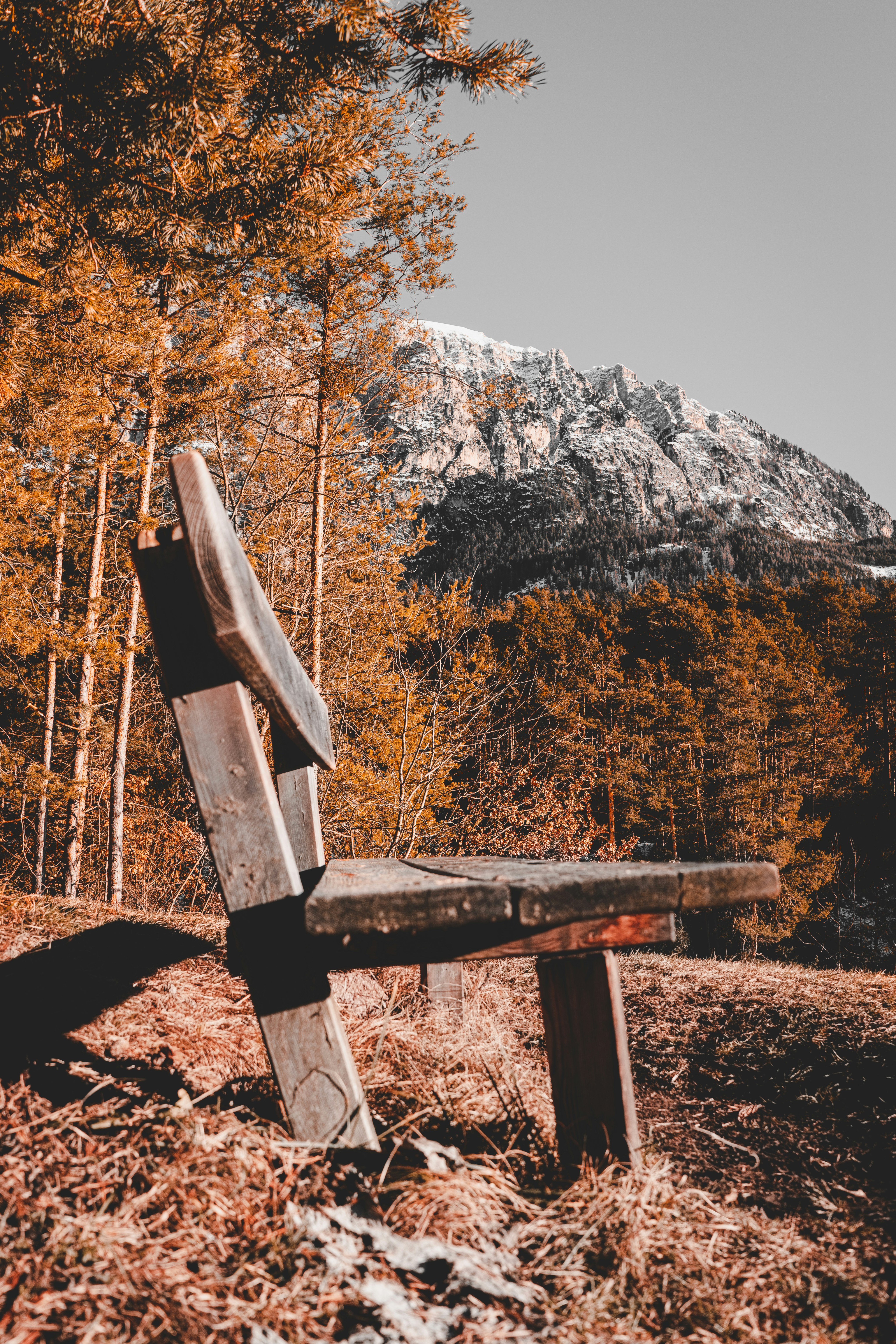 Quiet Bench Under Alpine Light