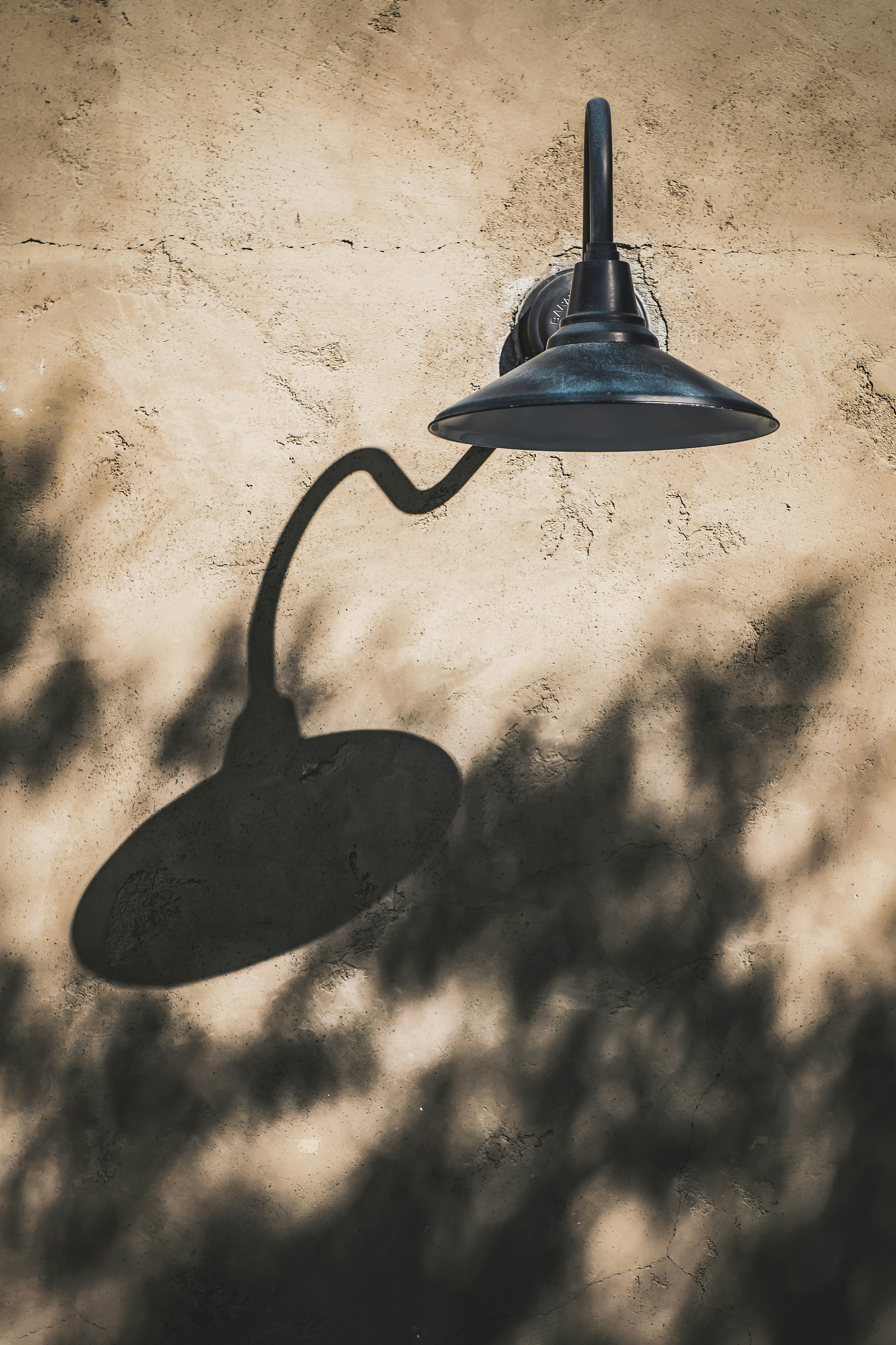 Sculpted Light: The Curve and Shadow of a Wall Lamp