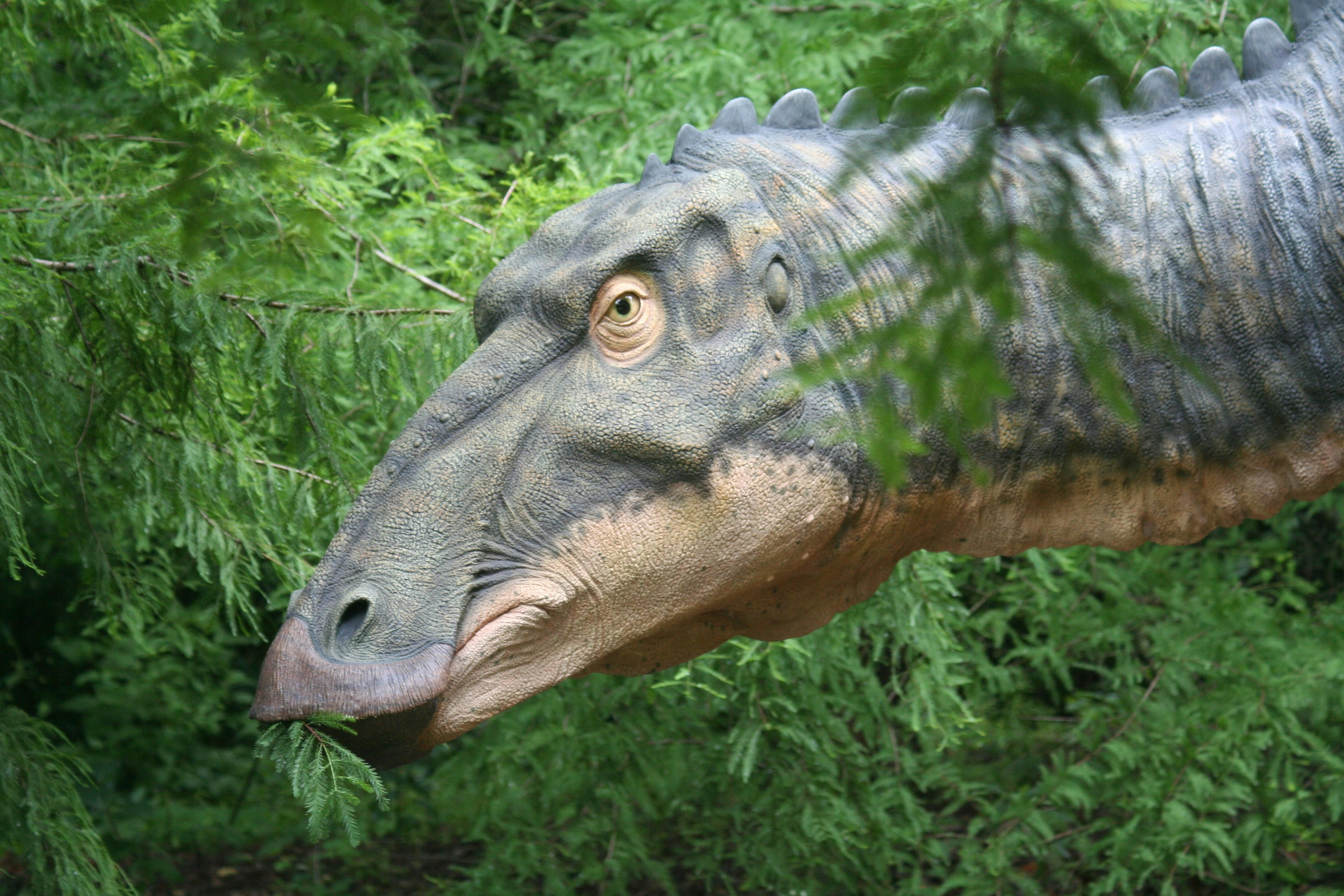 Realistic dinosaur sculpture peering through lush greenery, showcasing intricate details of its features. 