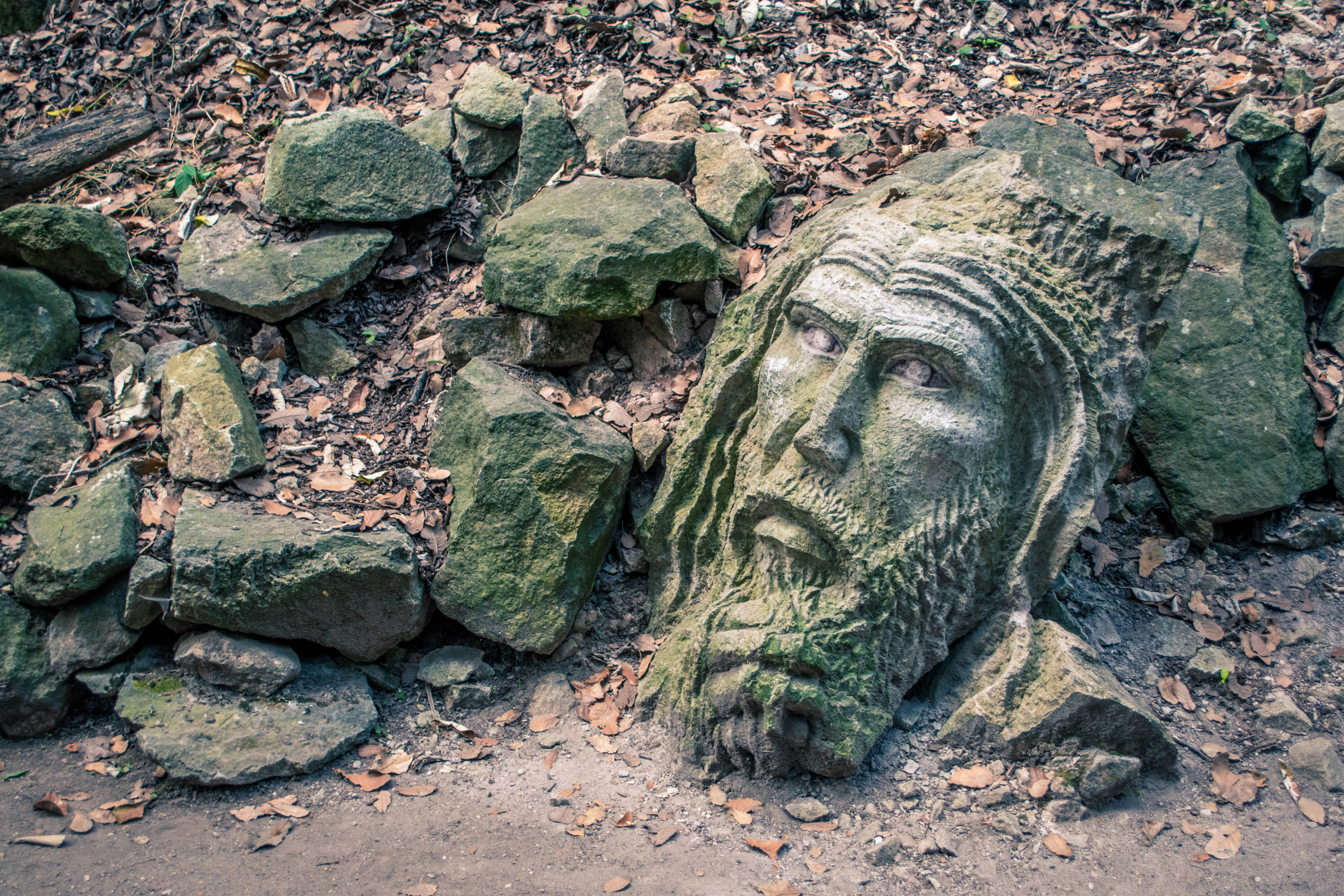 Gaze in Moss: A Weathered Stone Bust Emerges from the Rubble