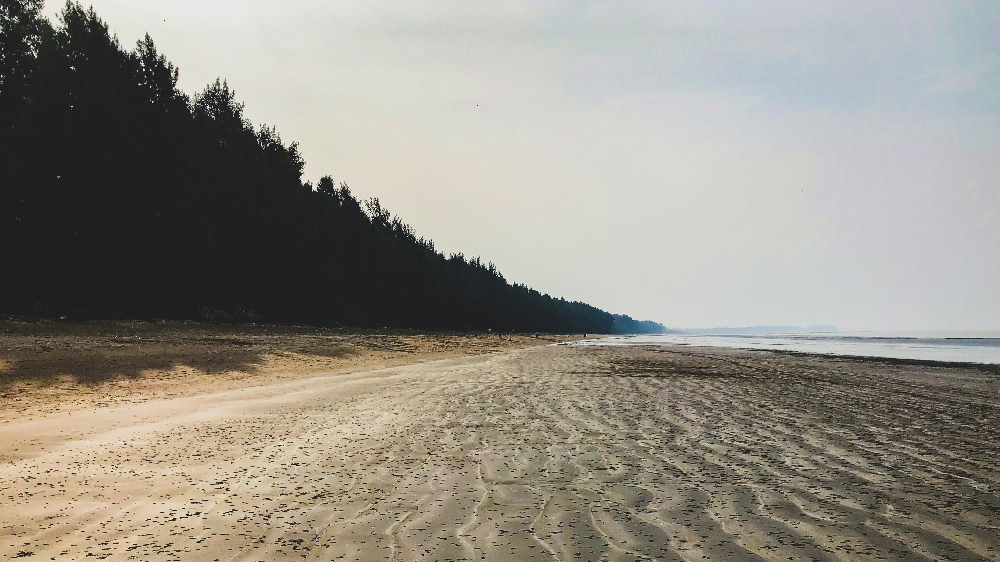 Seashore during daytime photo – Free Nargol beach Image on Unsplash