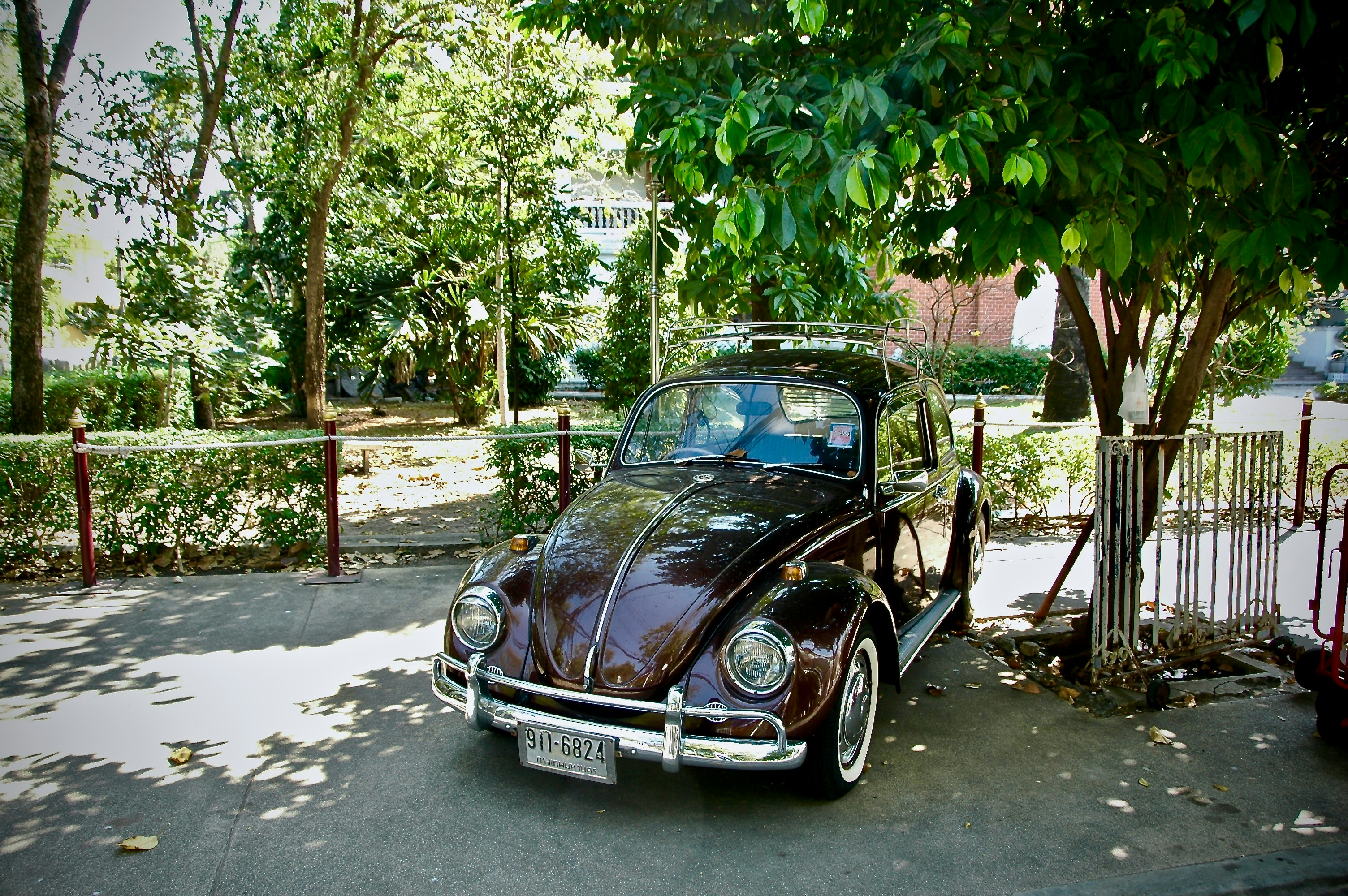 brown Volkswagen Beetle coupe parking near green leaf trees