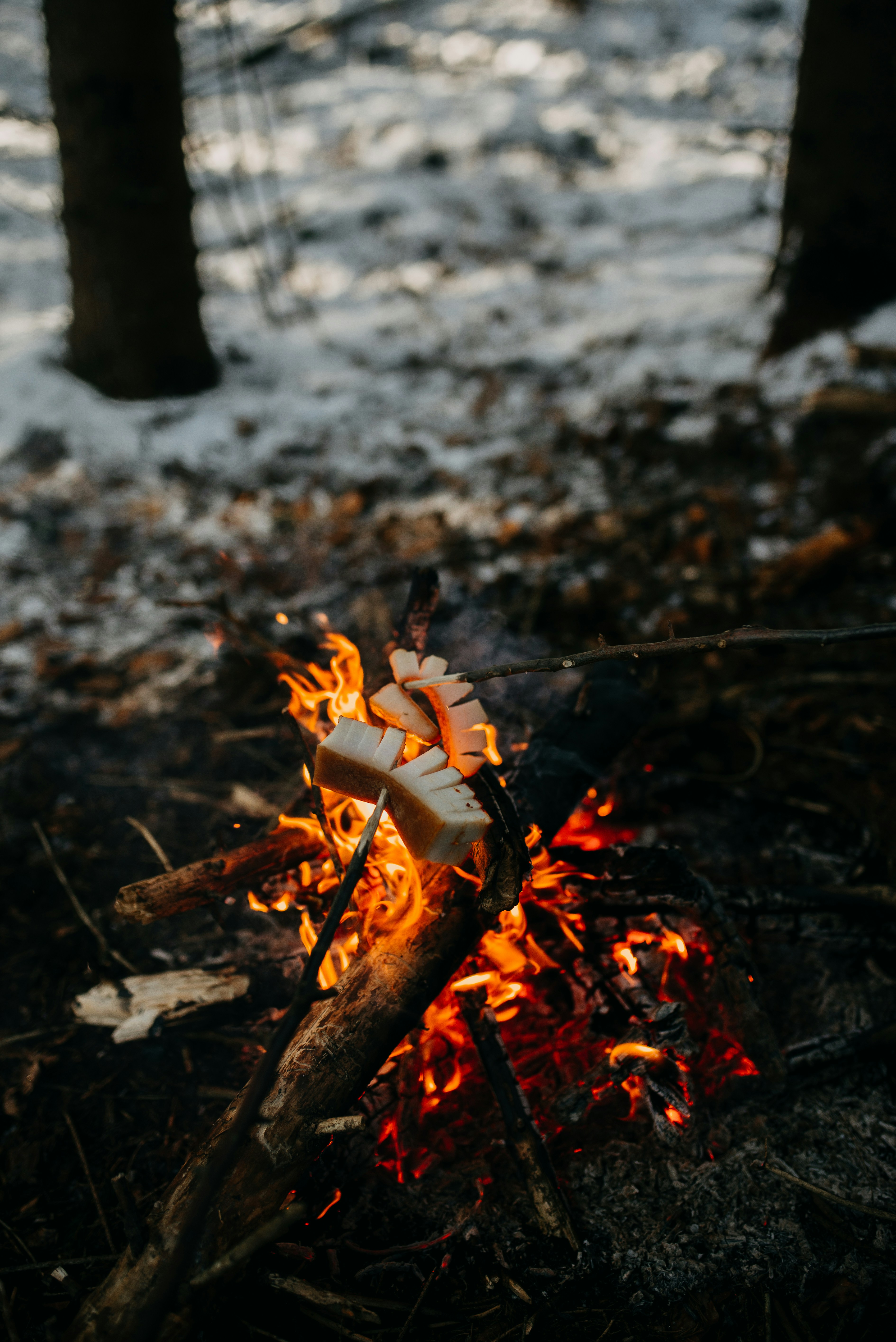 Photo by Barna Kovács with Nikon D610